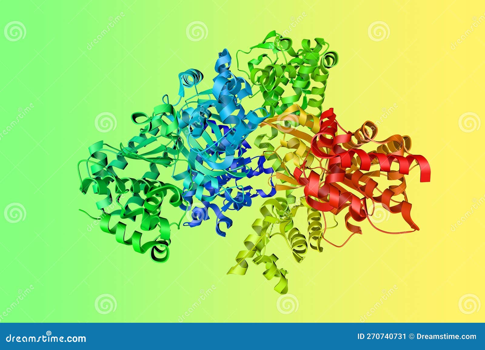 Crystal Structure of Anthrax Toxin Lethal Factor. Ribbons Diagram in ...
