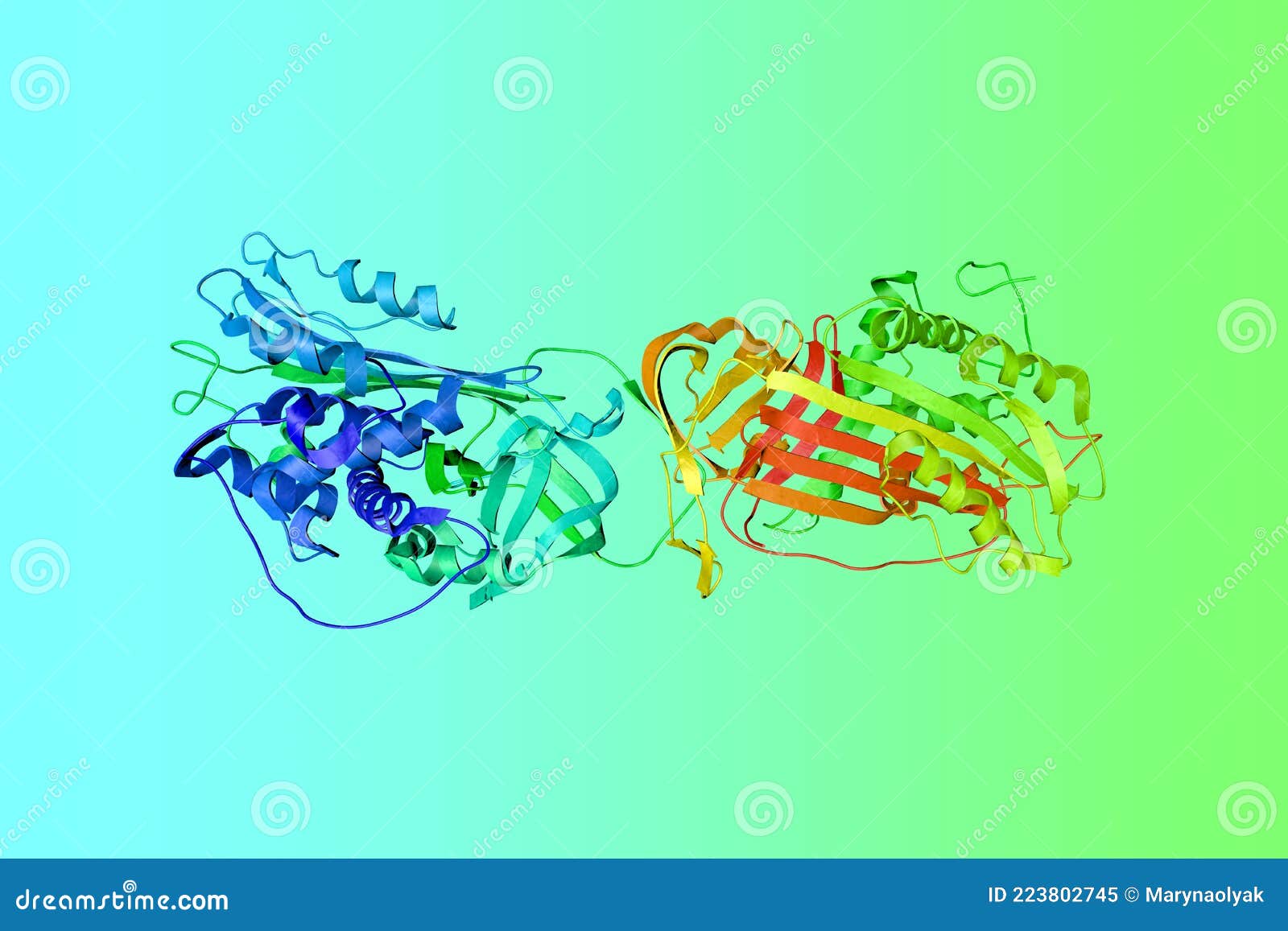 Heparin Molecule, Is Naturally Occurring Glycosaminoglycan ...