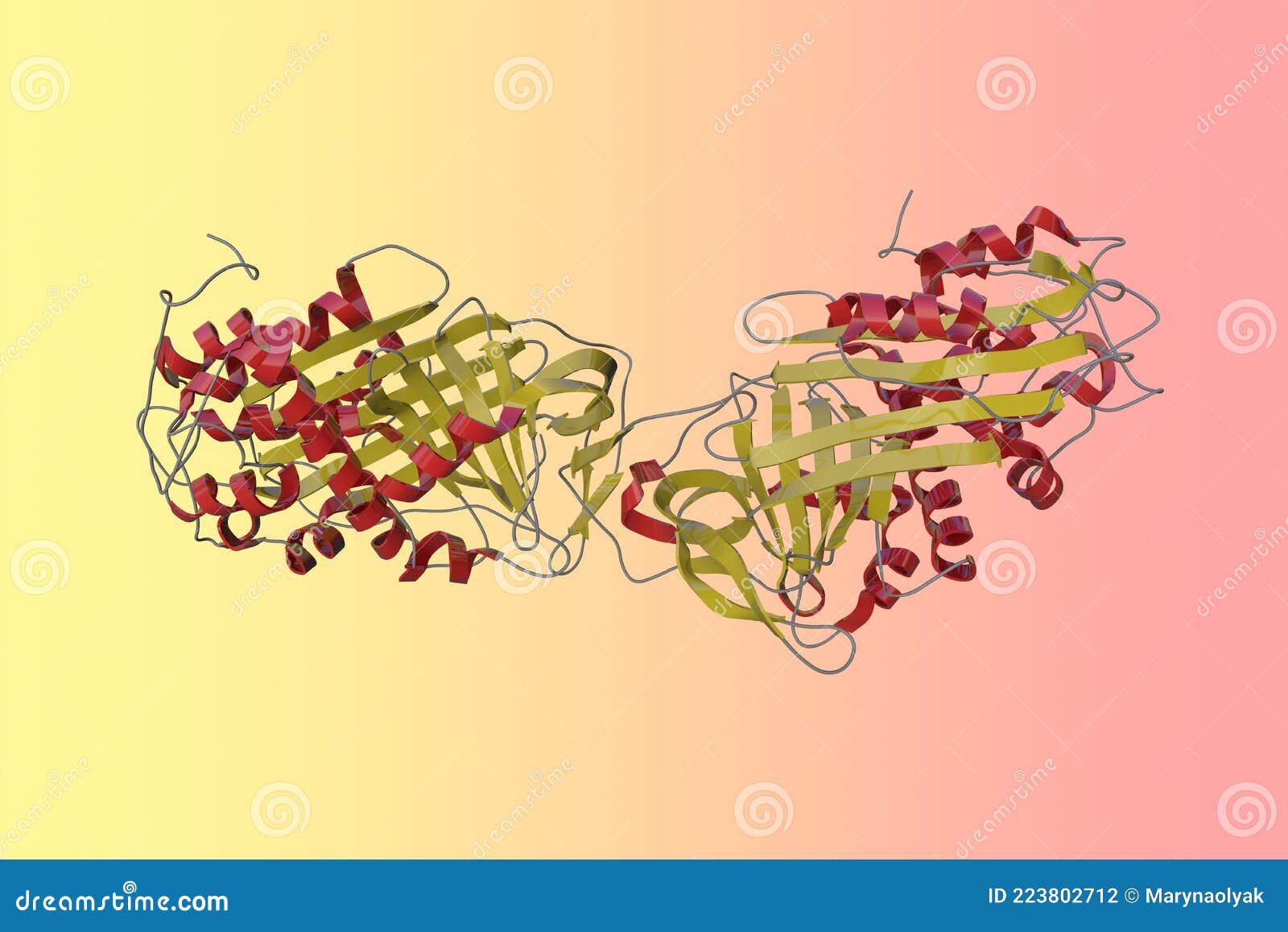 Crystal Structure of Antithrombin-III. Ribbons Diagram in Secondary ...
