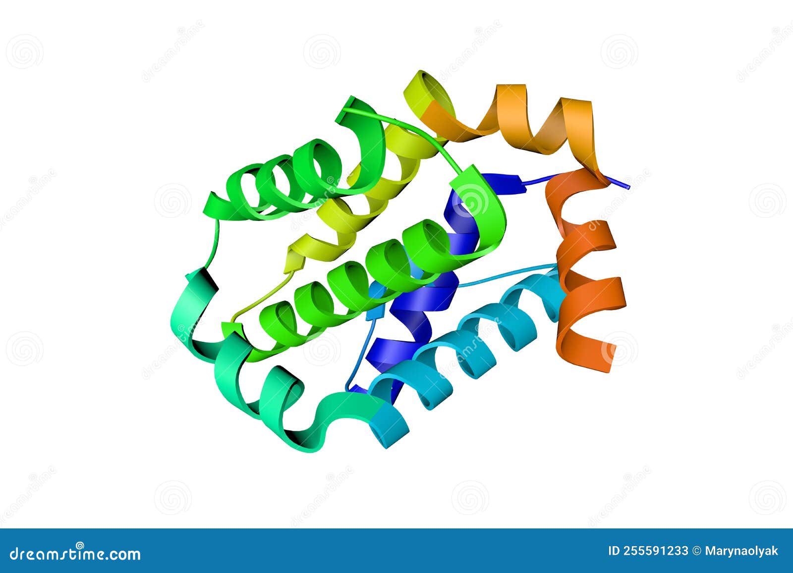 Crystal Structure Of B-cell Lymphoma 2 (BCL-2) In Complex With The ... Crystal Structure Of B-cell Lymphoma 2 (BCL-2) In Complex With The ...