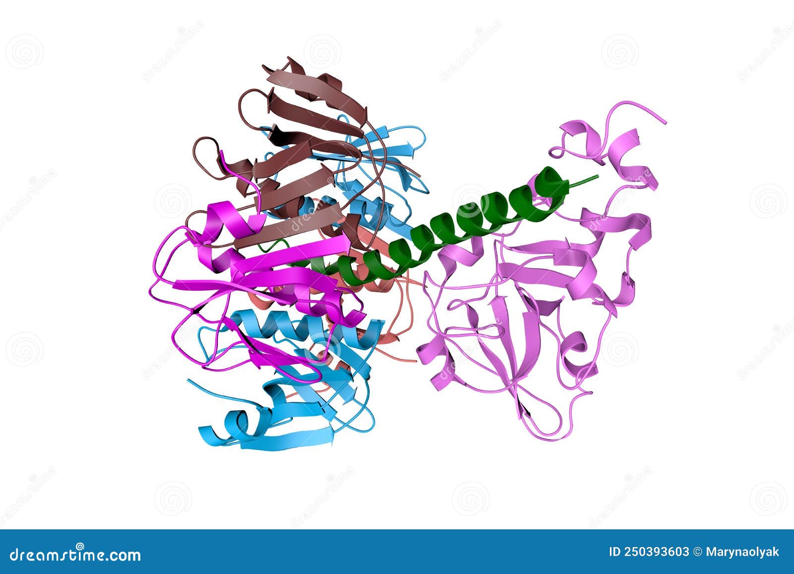 Crystal Structure of Cholera Toxin Produced by Bacterium Vibrio ...