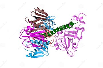 Crystal Structure of Cholera Toxin Produced by Bacterium Vibrio ...