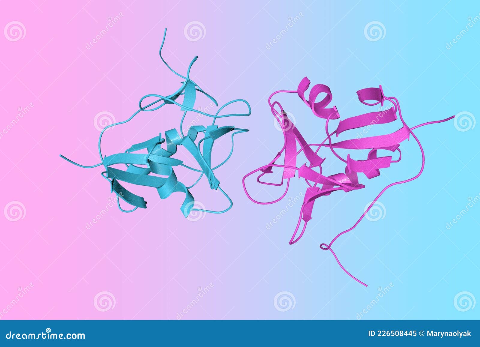 The Structure Of The Epstein-Barr Virus. Infographics. Vector Illustration | CartoonDealer.com ...