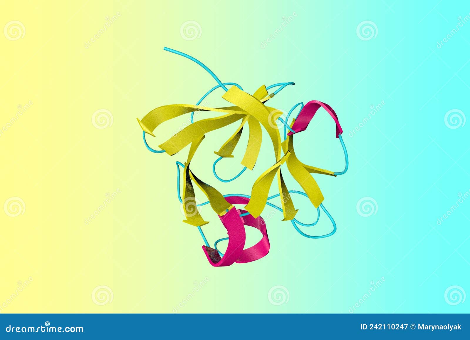 Crystal Structure Of Fibroblast Growth Factor 4. Ribbons Diagram In ...