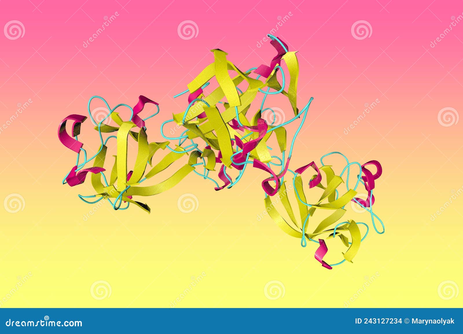 Crystal Structure of Fibroblast Growth Factor 18 (FGF18). Ribbons ...