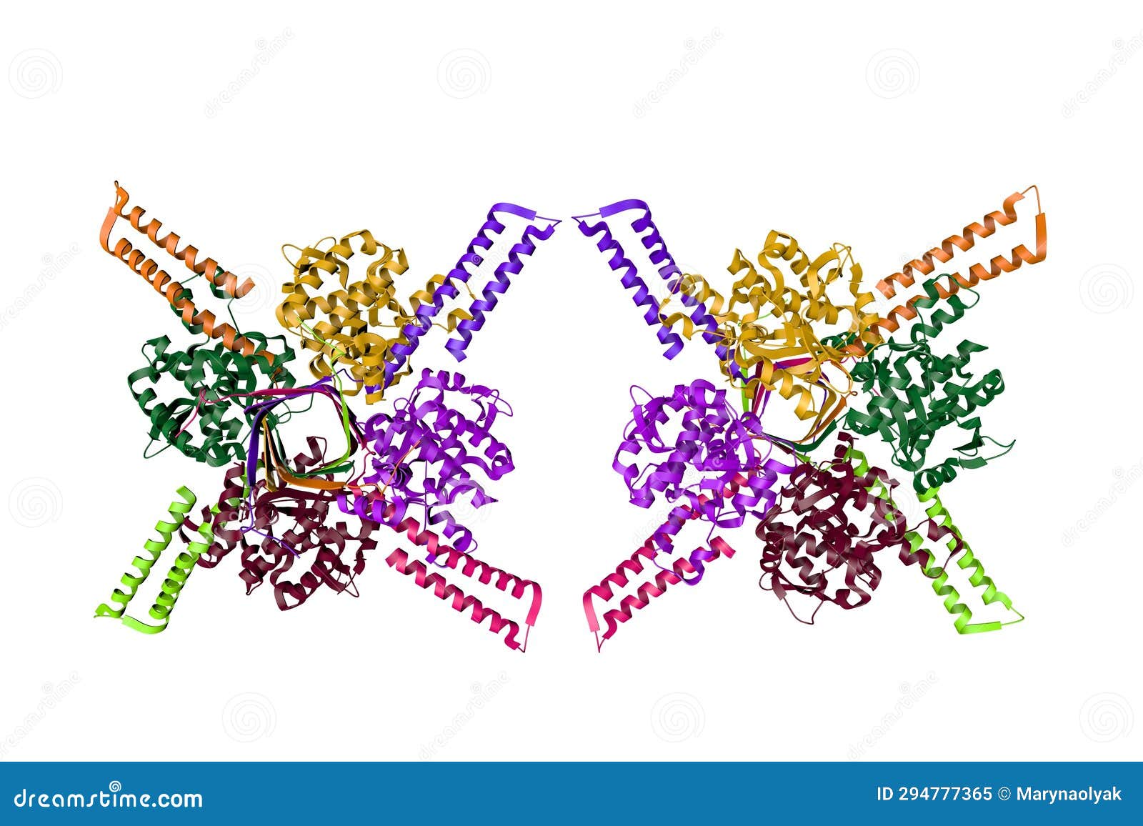 Crystal Structure of Herpes Simplex Virus. Ribbons Diagram with ...