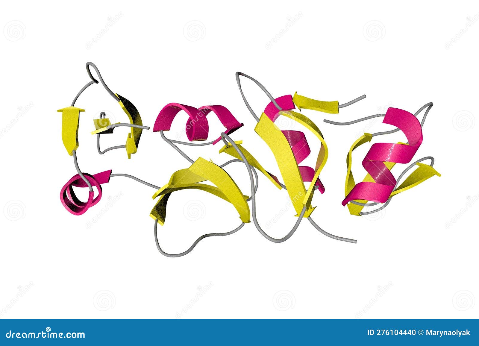 Human Beta-defensin-2. Ribbons Diagram in Secondary Structure Coloring ...