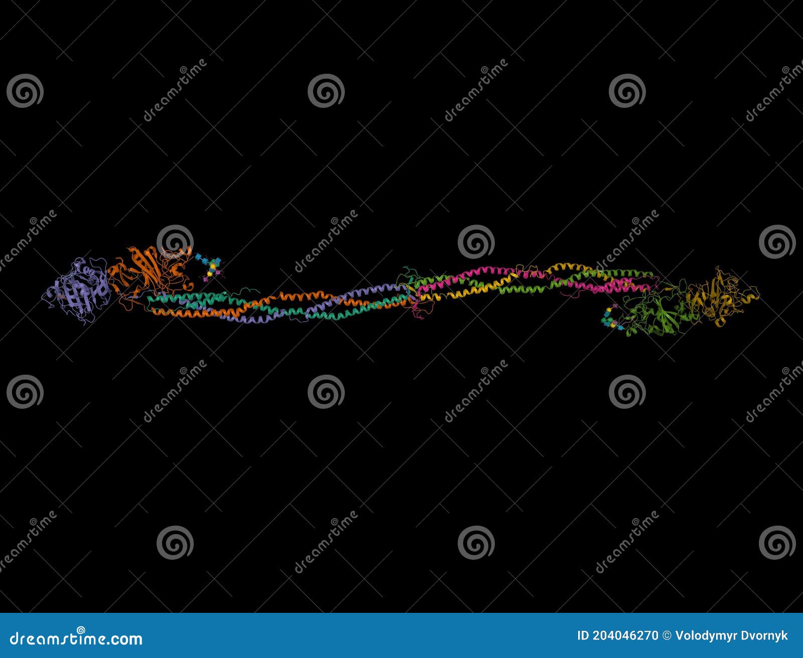 Crystal Structure of Human Fibrinogen, 3D Cartoon Model Stock ...