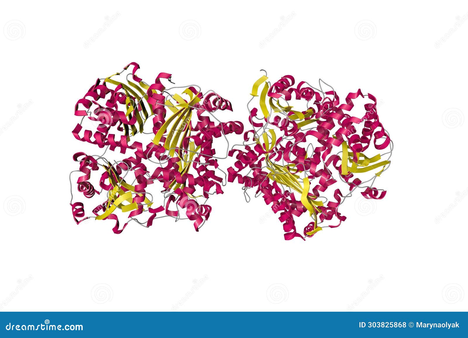 Crystal Structure of Human Insulin-degrading Enzyme in Complex with ...