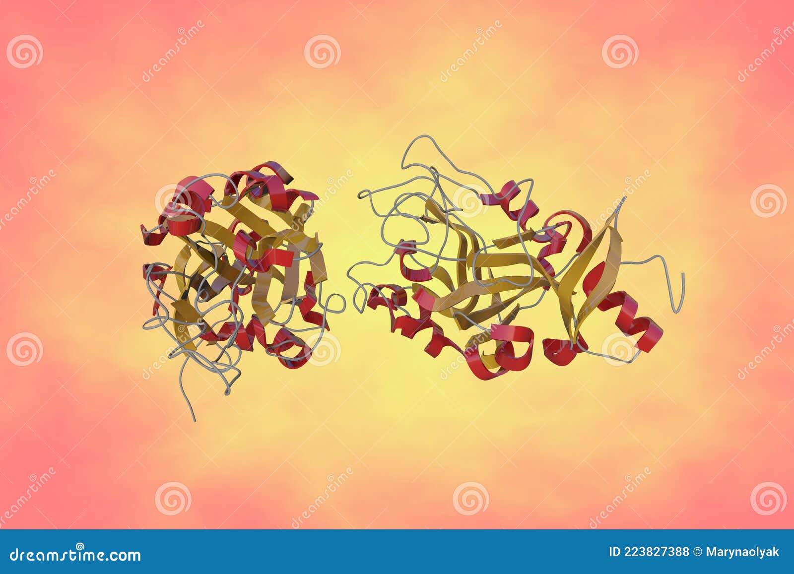Crystal Structure of Human Intelectin-1, Also Known As Omentin. Ribbons ...
