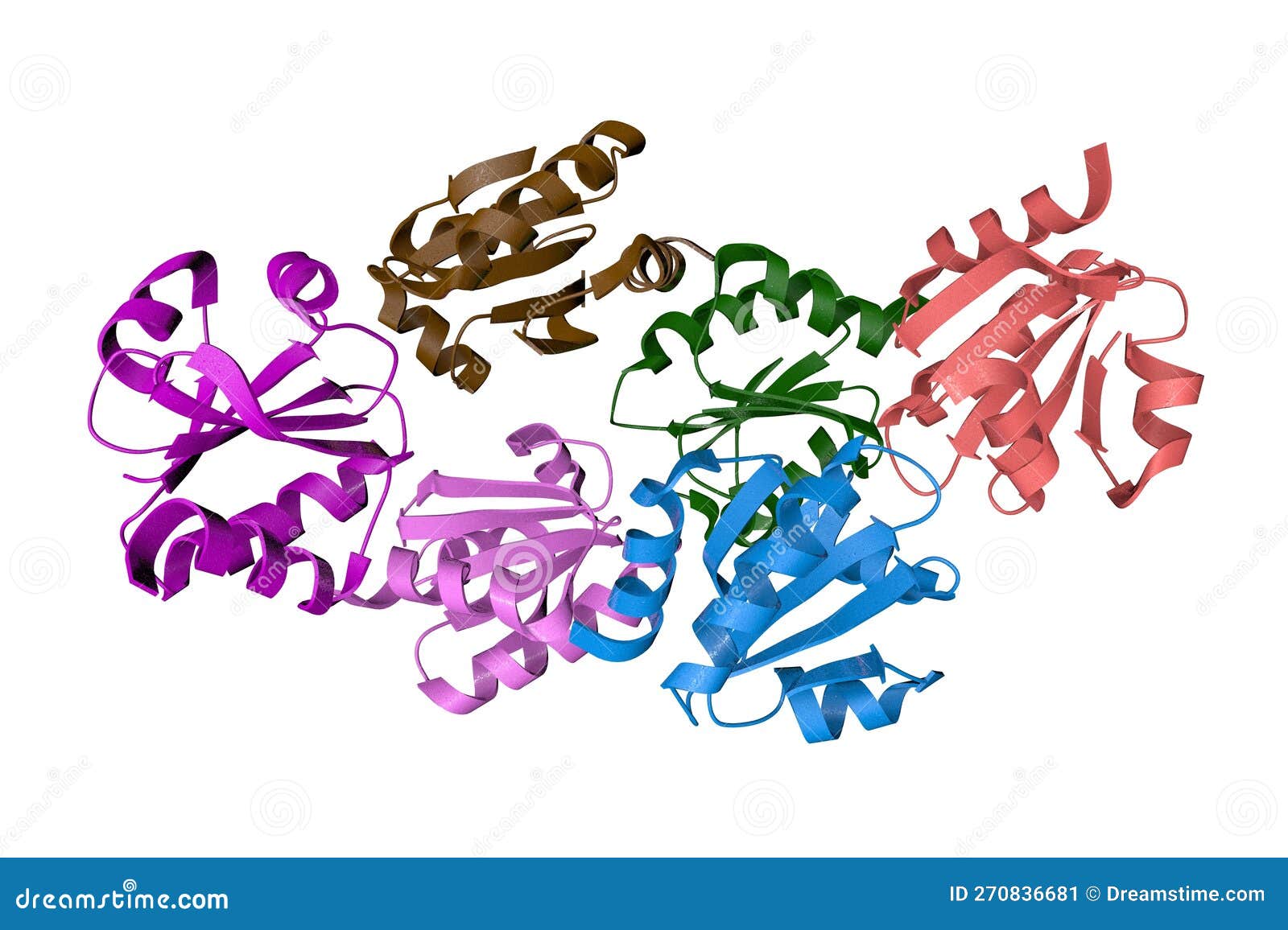 Ribbon Cartoon Protein Structure at Alannah Thwaites blog
