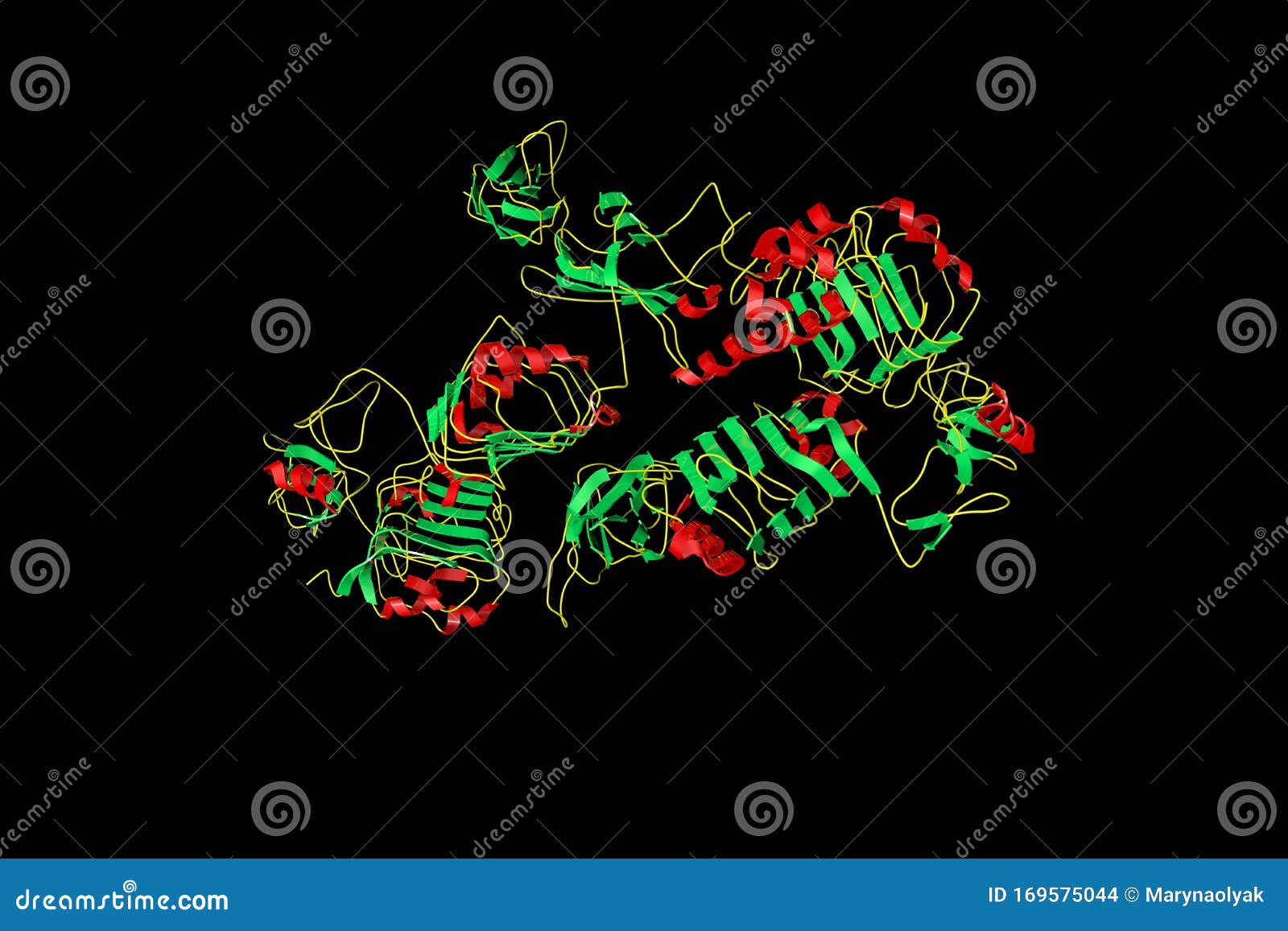 Crystal Structure of the Insulin Receptor Ectodomain in Complex with ...
