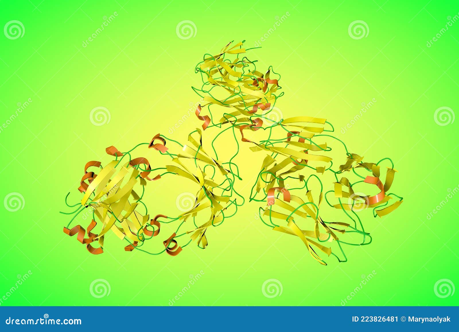 Crystal Structure of the Intact Human Immunoglobulin - Antibody that ... Crystal Structure of the Intact Human Immunoglobulin - Antibody that ...