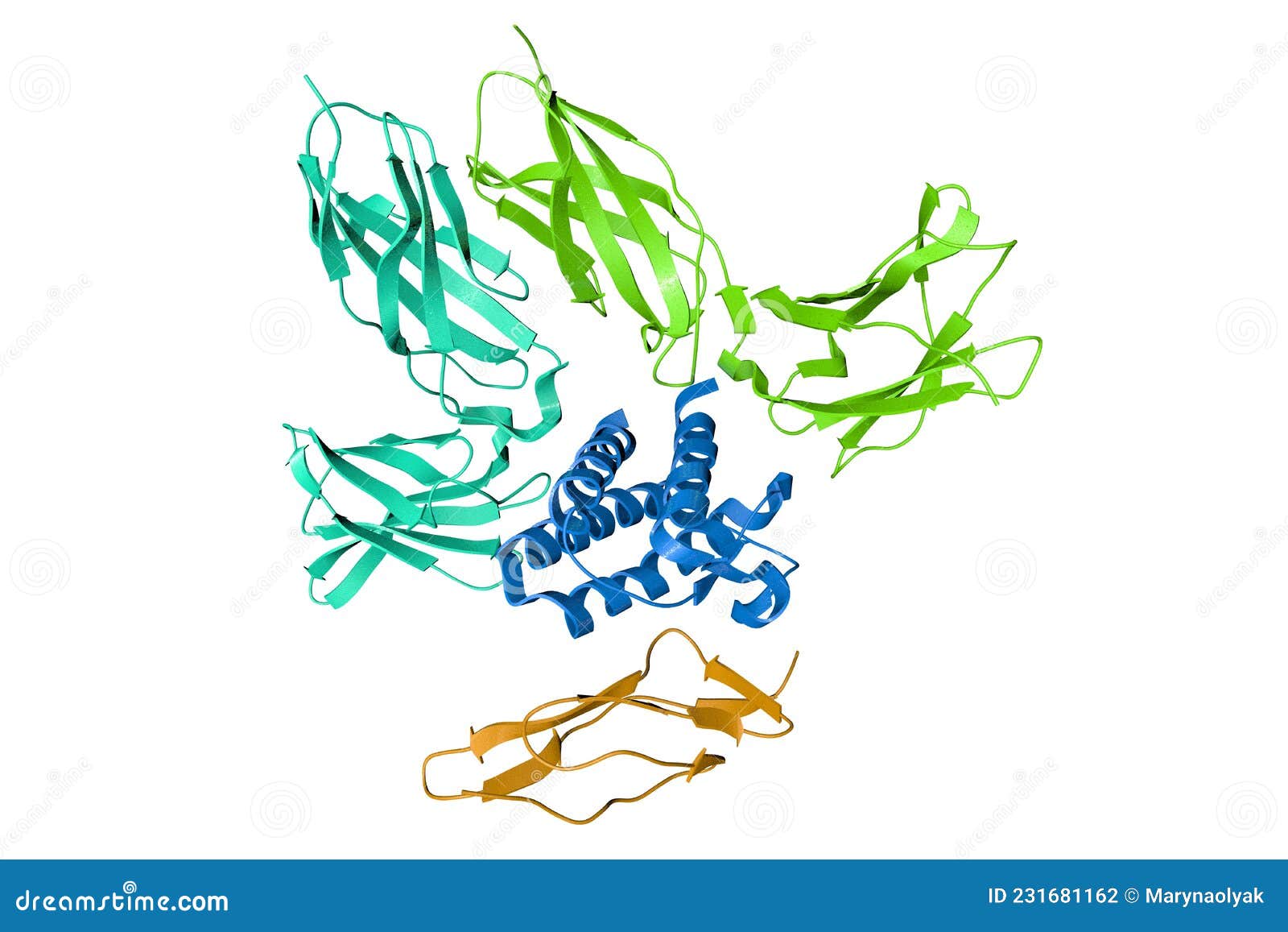 Crystal Structure of Interleukin-15 Quaternary Complex. Ribbons Diagram ...