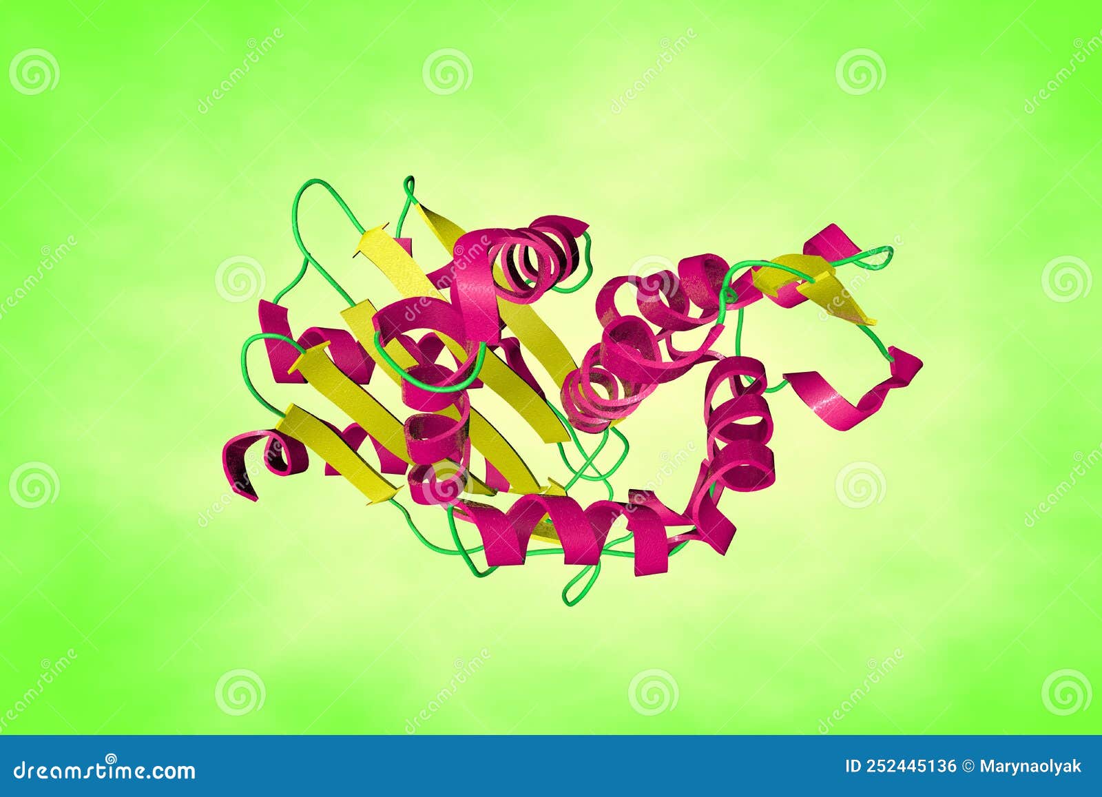 Crystal Structure of the KPC-2 Beta-lactamase in Complex with ...