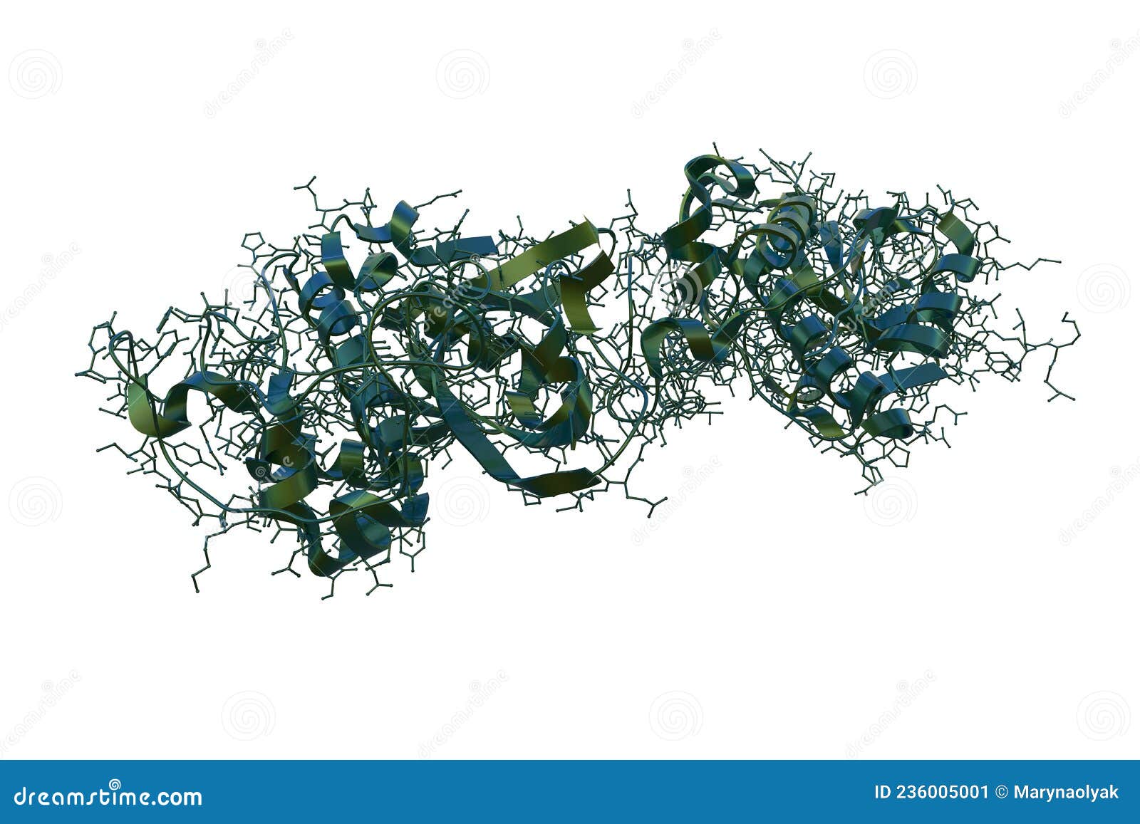 Crystal Structure and Molecular Model of Human Cathepsin B in Complex ...