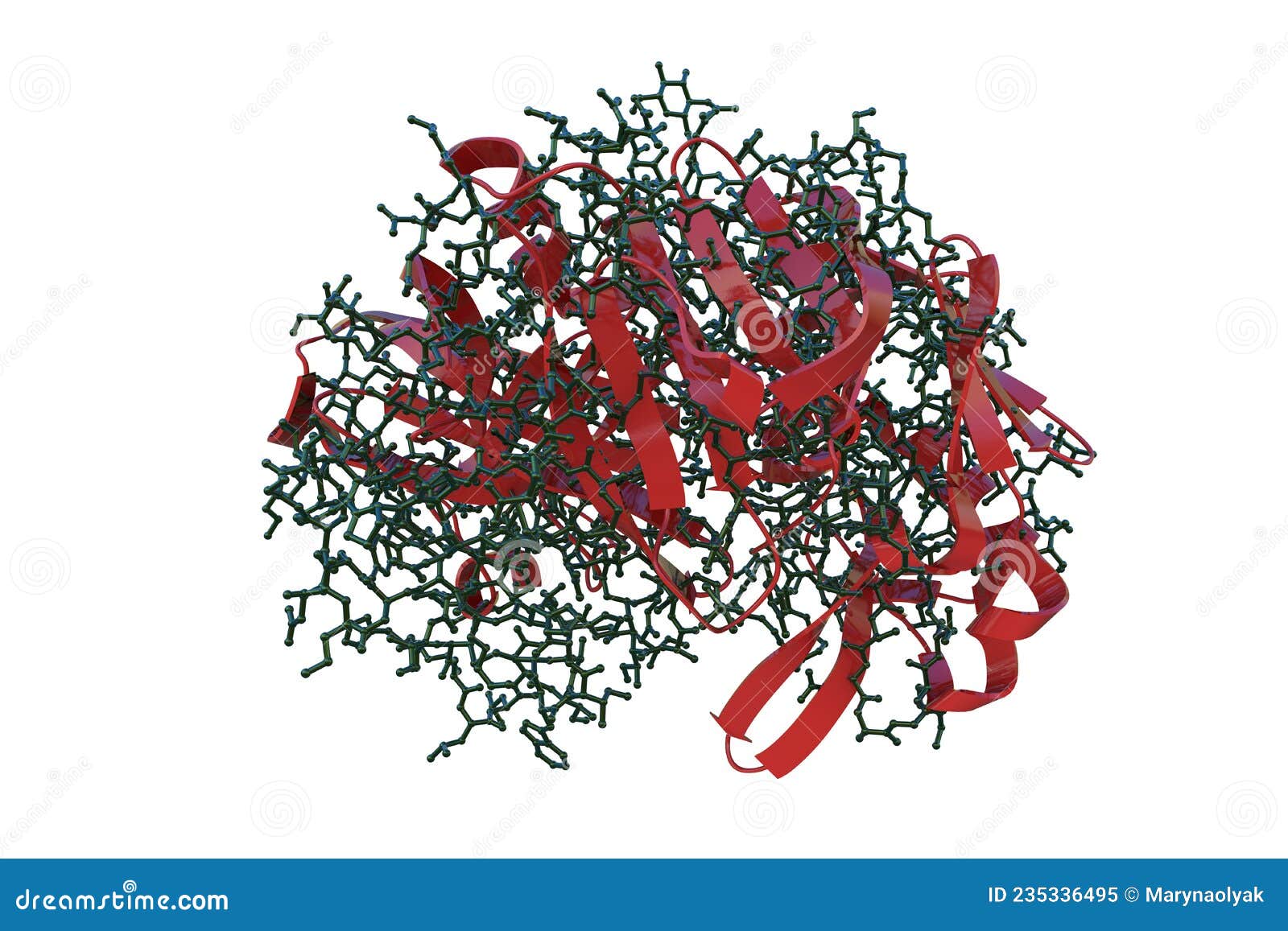 Crystal Structure and Molecular Model of Human Cathepsin D in Complex ...