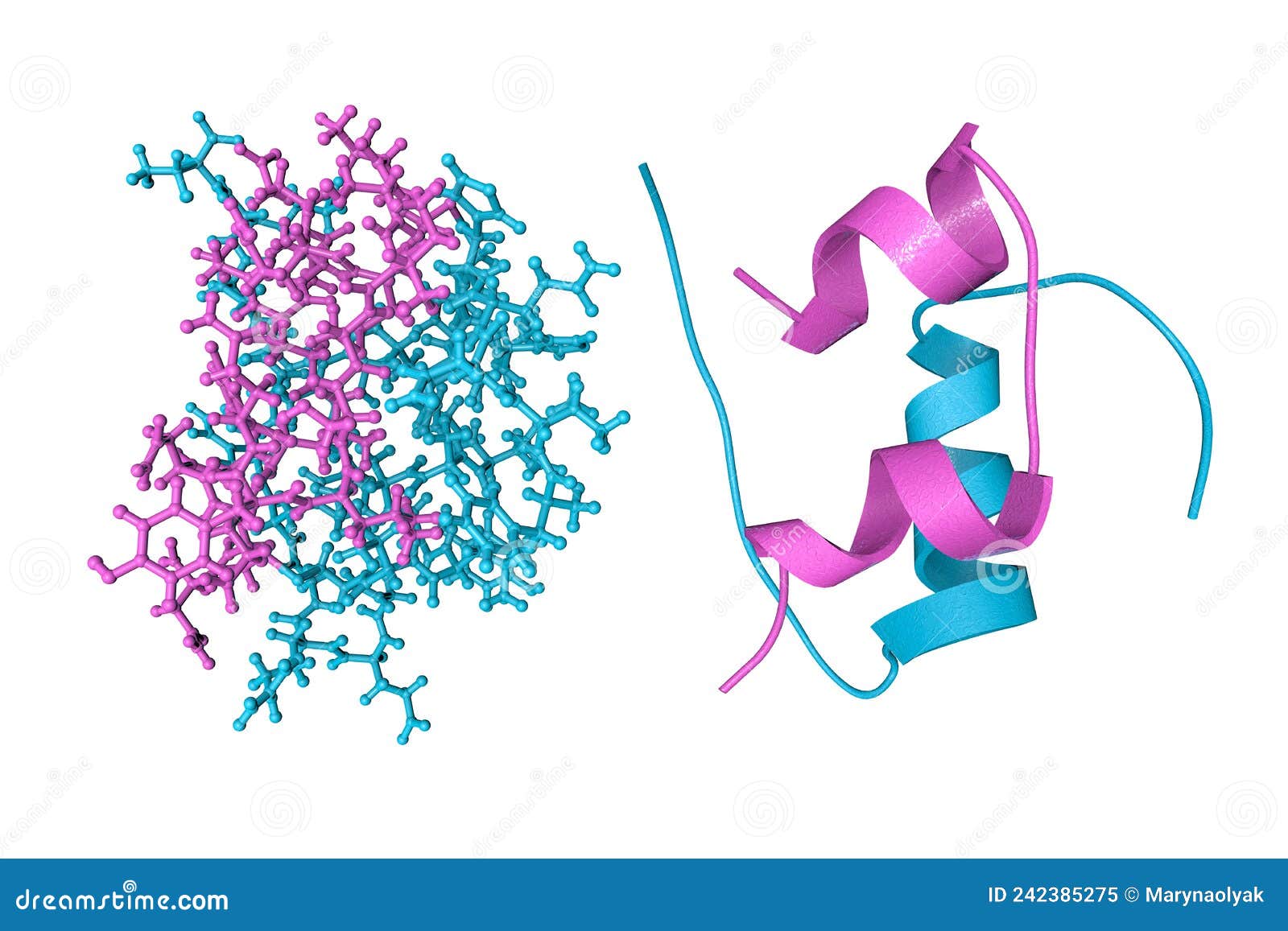 Crystal Structure And Molecular Model Of Human Insulin Chain A And Chain B Rendering With