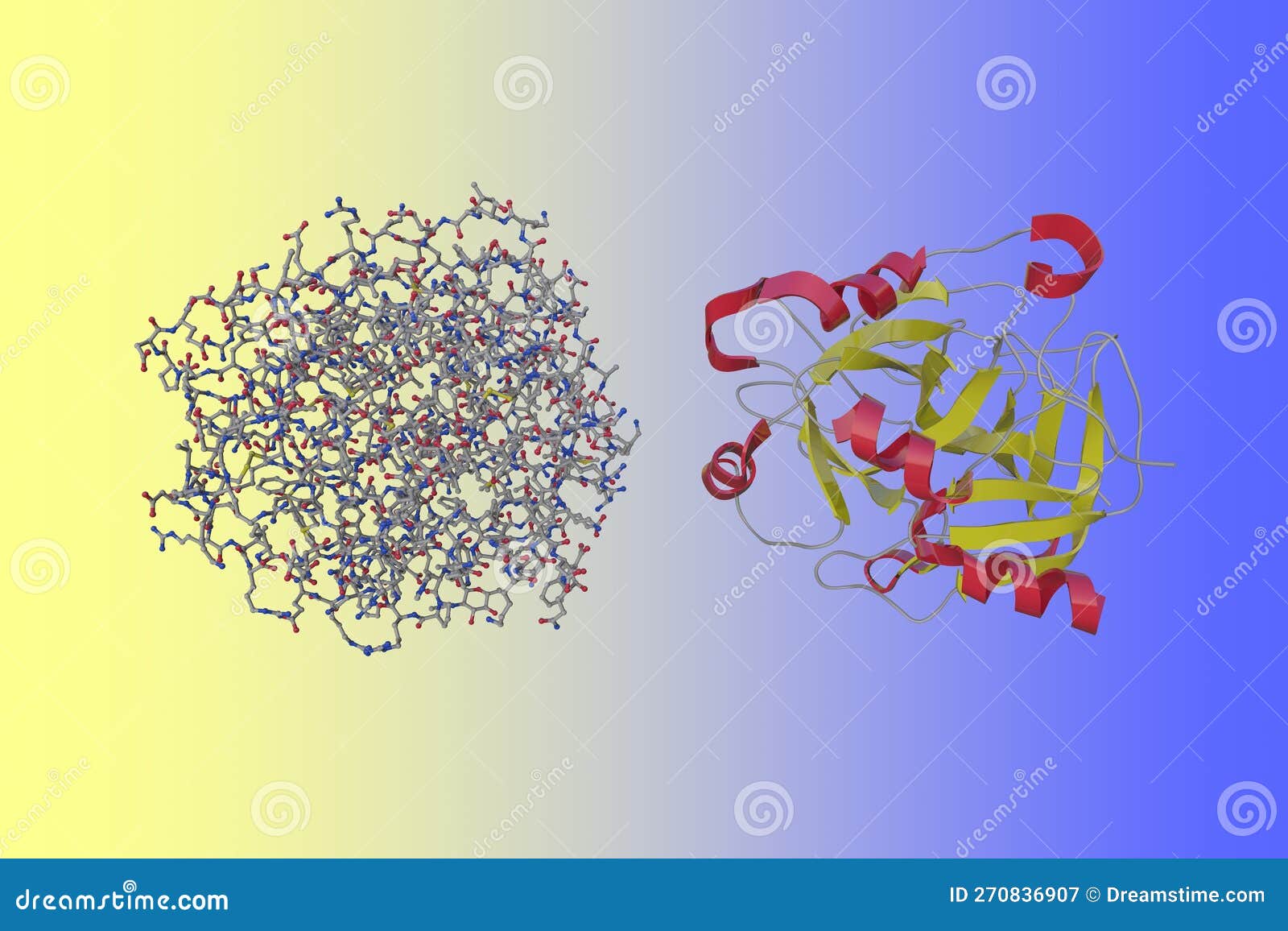 Crystal Structure and Molecular Model of Human Thrombin-inhibitor ...