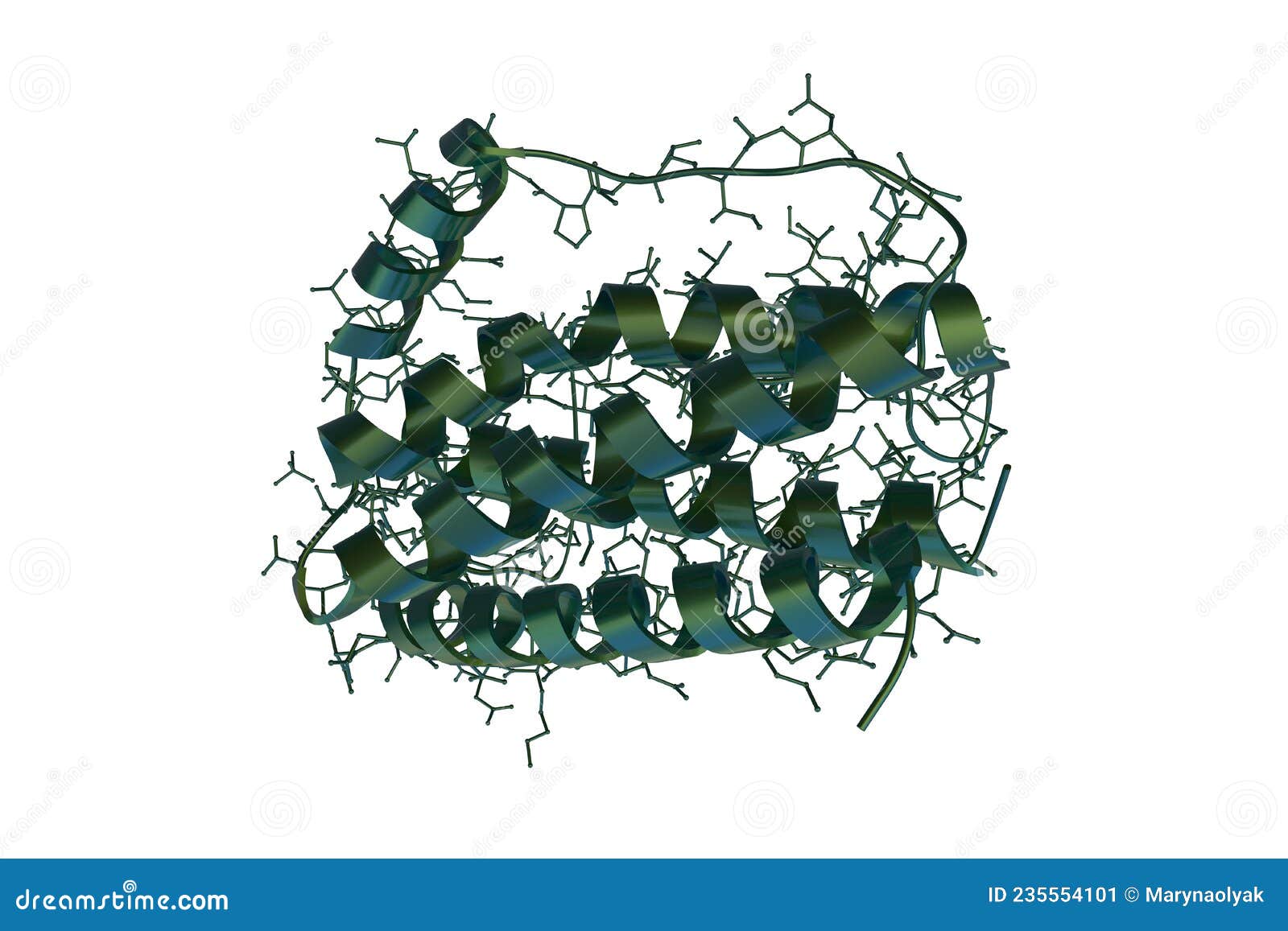 Crystal Structure And Molecular Models Of Human Interleukin-6, Pro ...