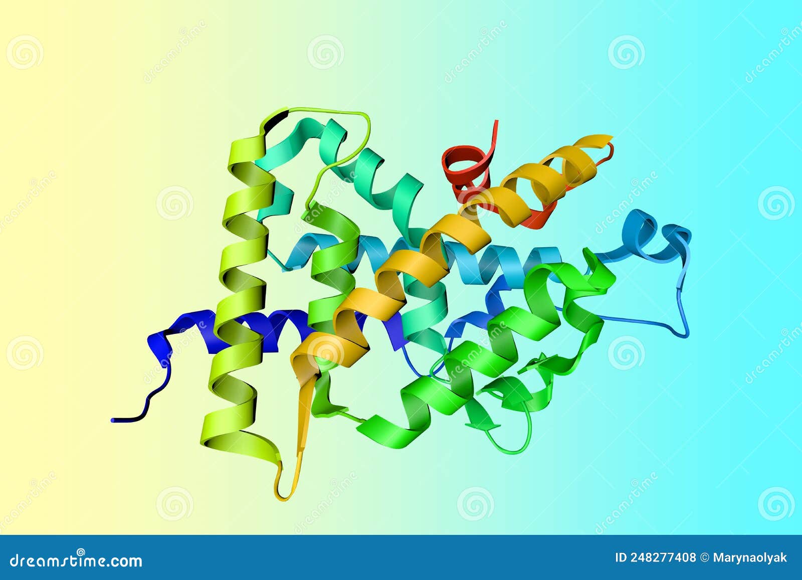 Crystal Structure of the Nuclear Receptor for Vitamin D in Complex with ...