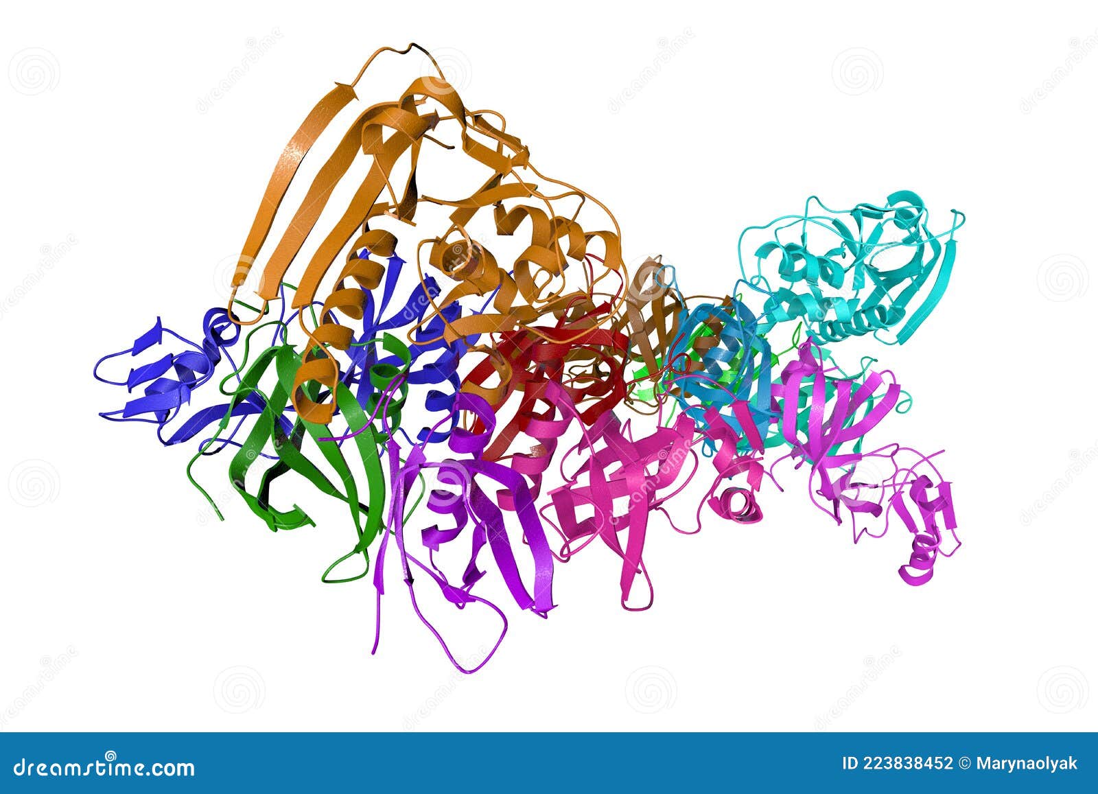 Crystal Structure of Pertussis Toxin. Ribbons Diagram with Differently ...