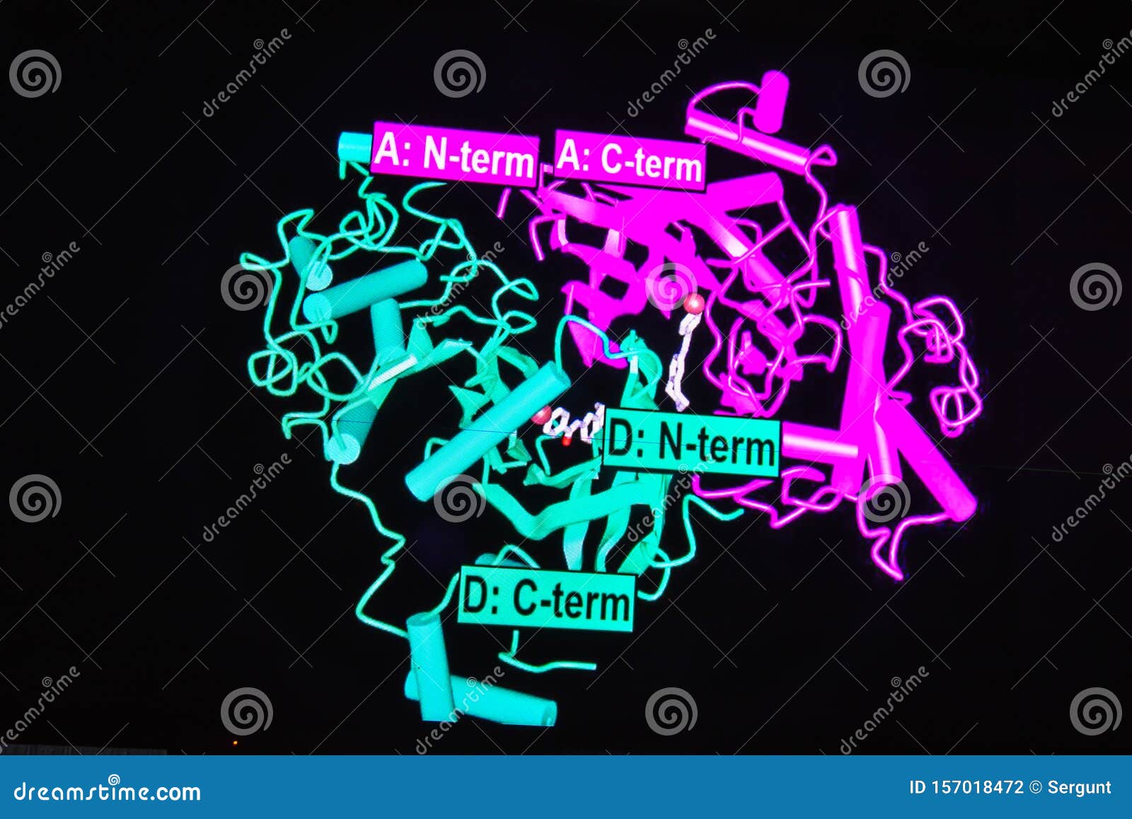 Crystal Structure Of Alpha-galactosidase Or Agalsidase Enzyme That ...