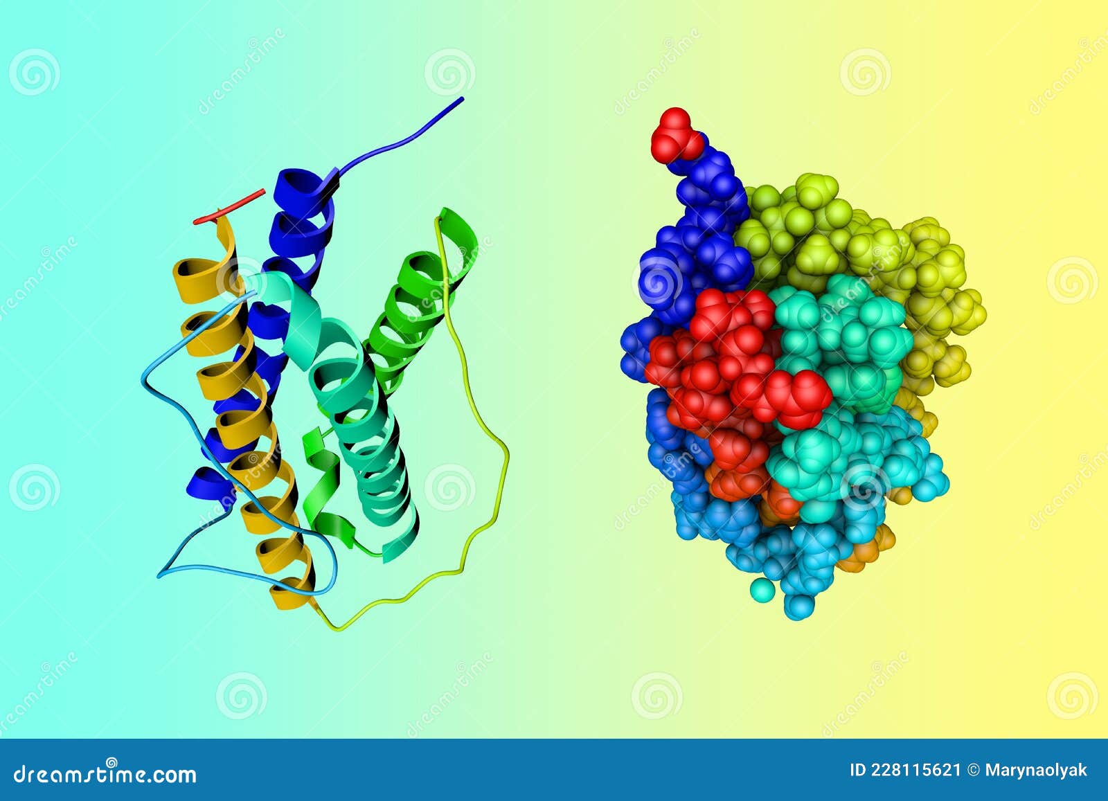 No Human Entry Enter Enterance Prohibited Not Allowed Ban Cannot Staff ...