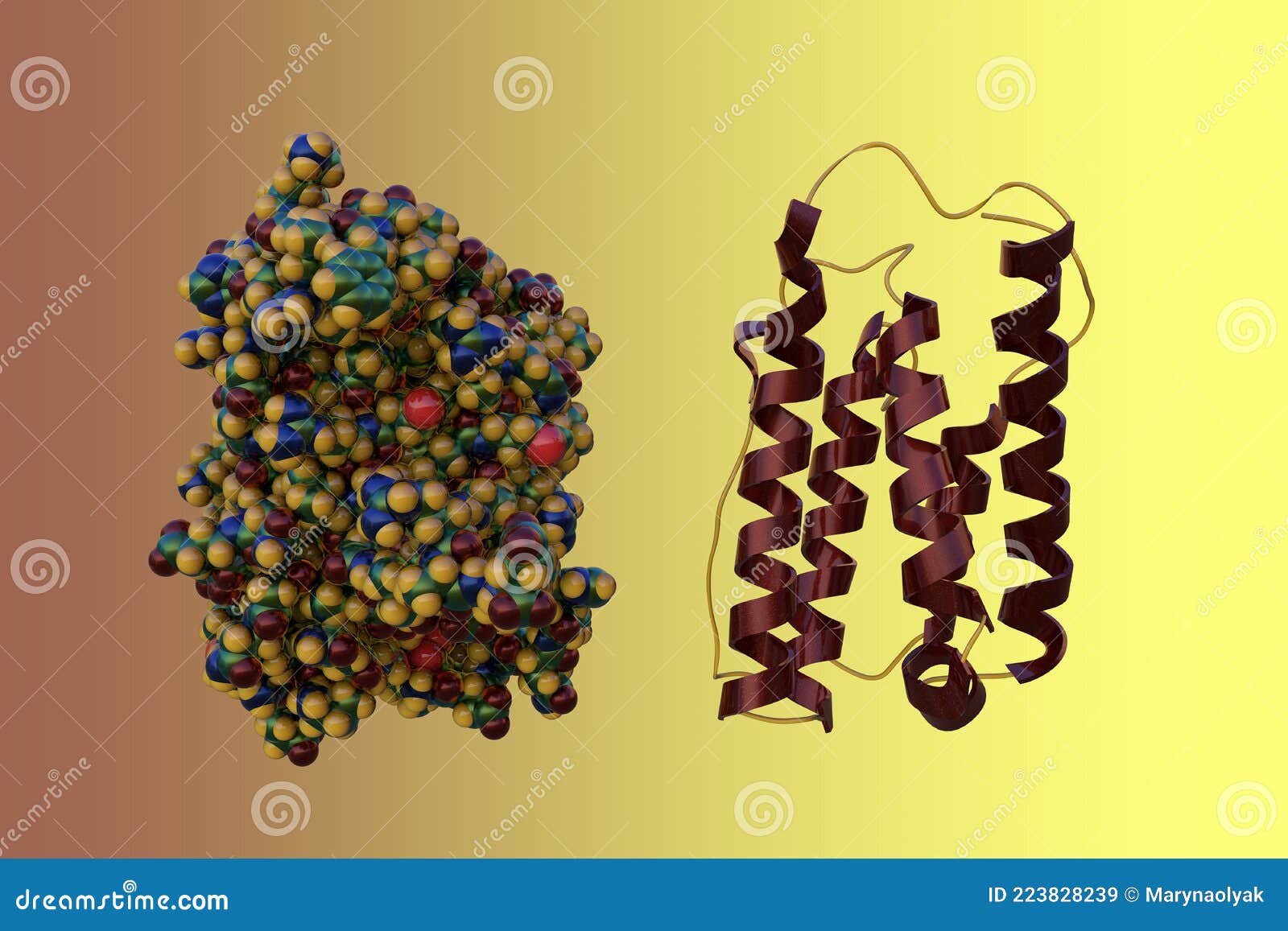 Crystal Structure and Space-filling Molecular Model of Interferon Alpha ...