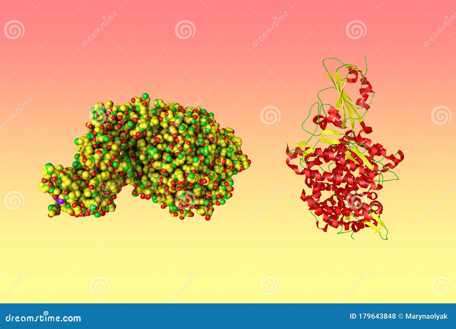 Crystal Structure and Space-filling Molecular Model of SARS-CoV-2 Spike ...