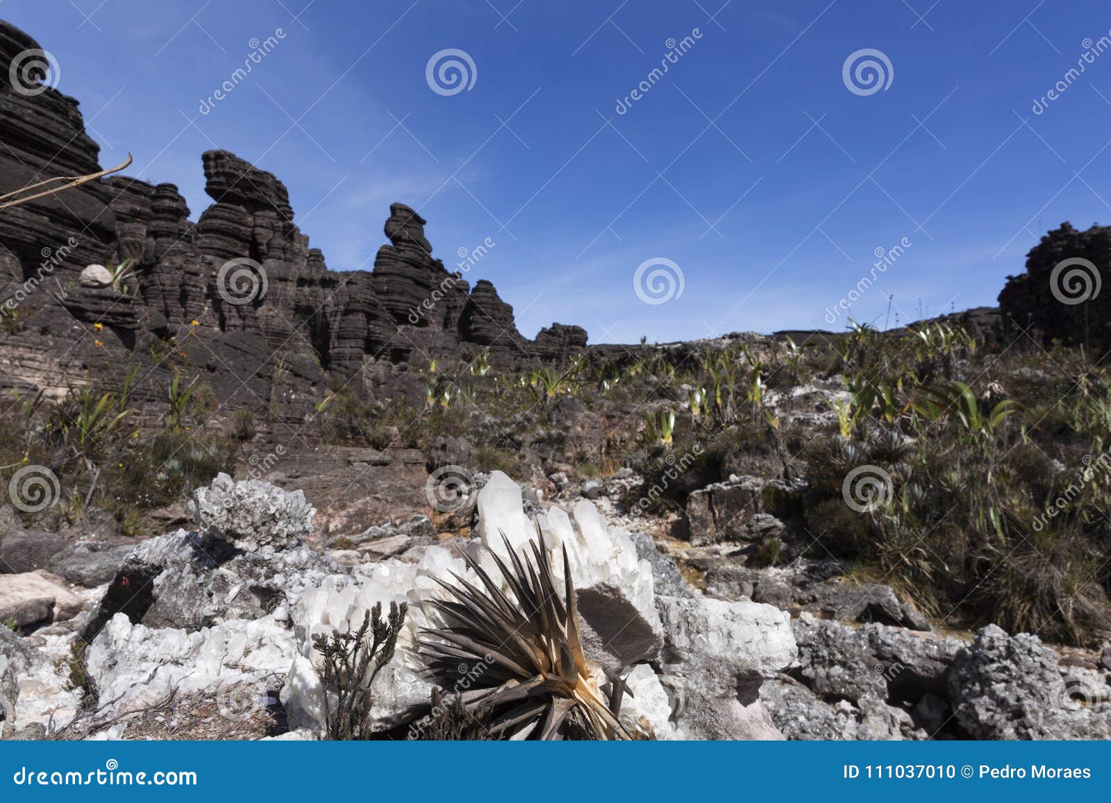 Crystal Valley, Mount Roraima. Stock Photo - Image of landscape, plant ...
