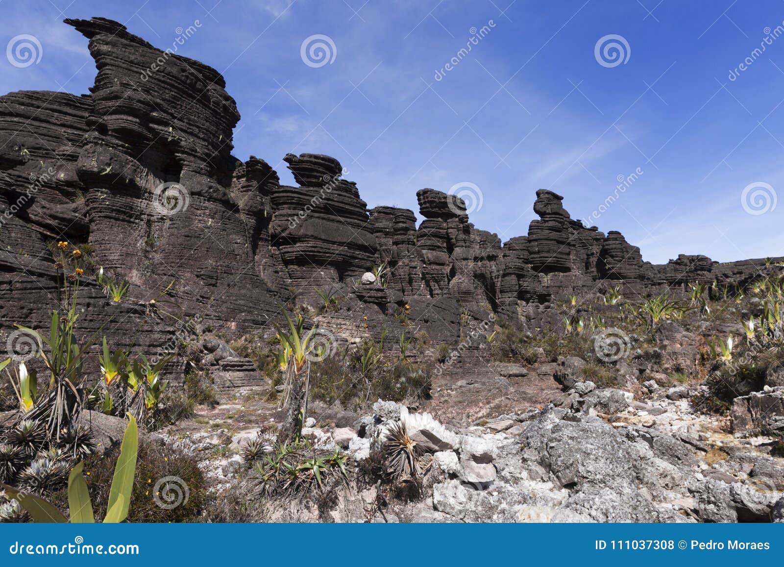 Crystal Valley, Mount Roraima. Stock Photo - Image of garden, field ...