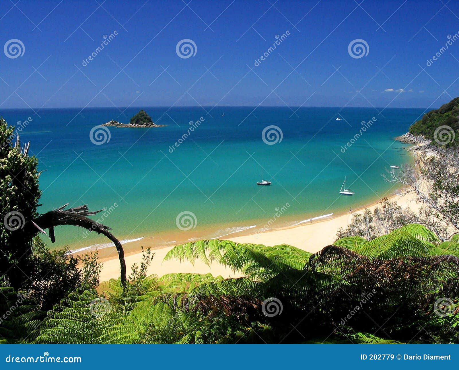Crystal water Beach stock image. Image of seascape, paradise - 202779