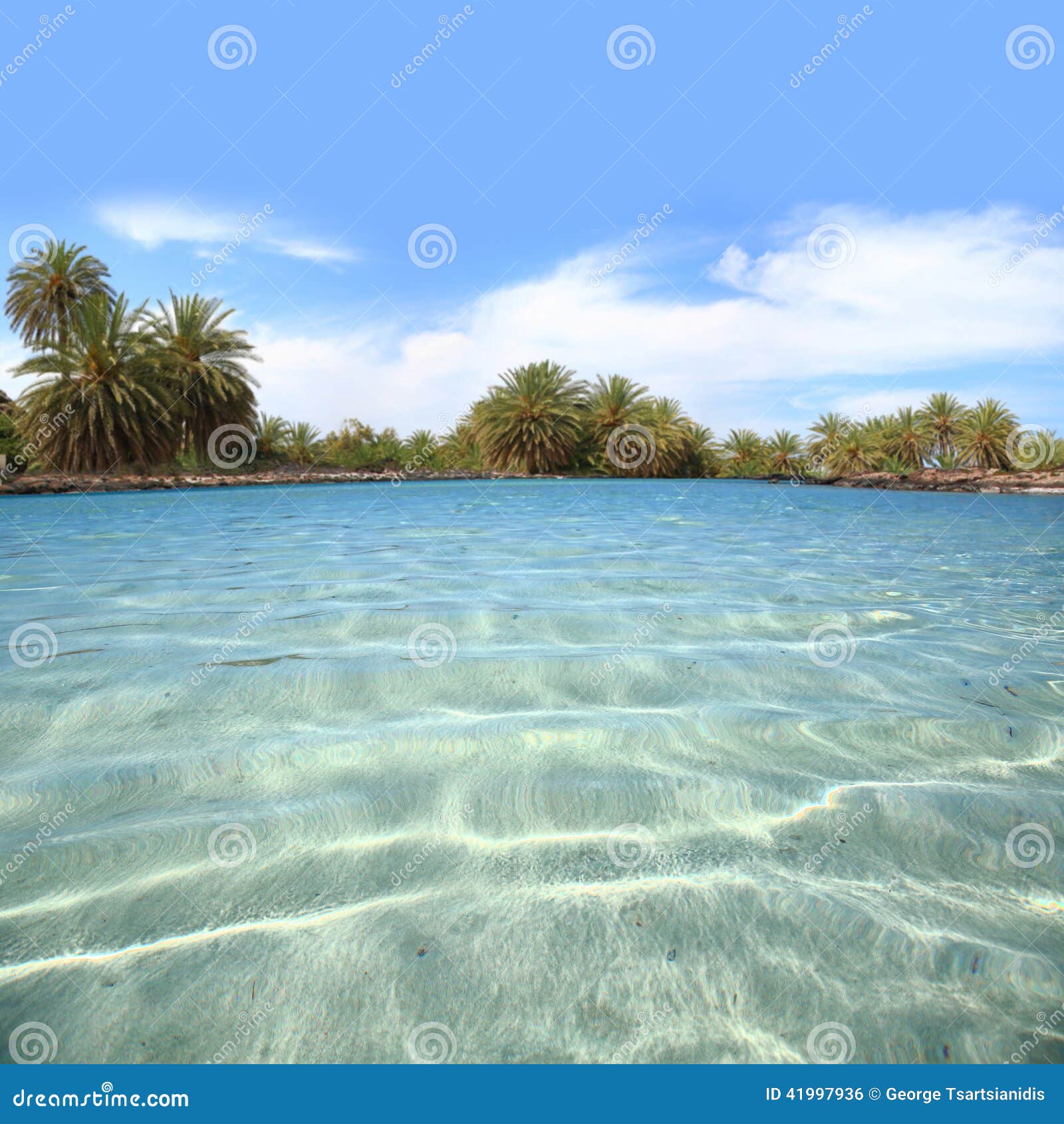 Crystal Waters Shore With Palm Trees Stock Photo | CartoonDealer.com ...