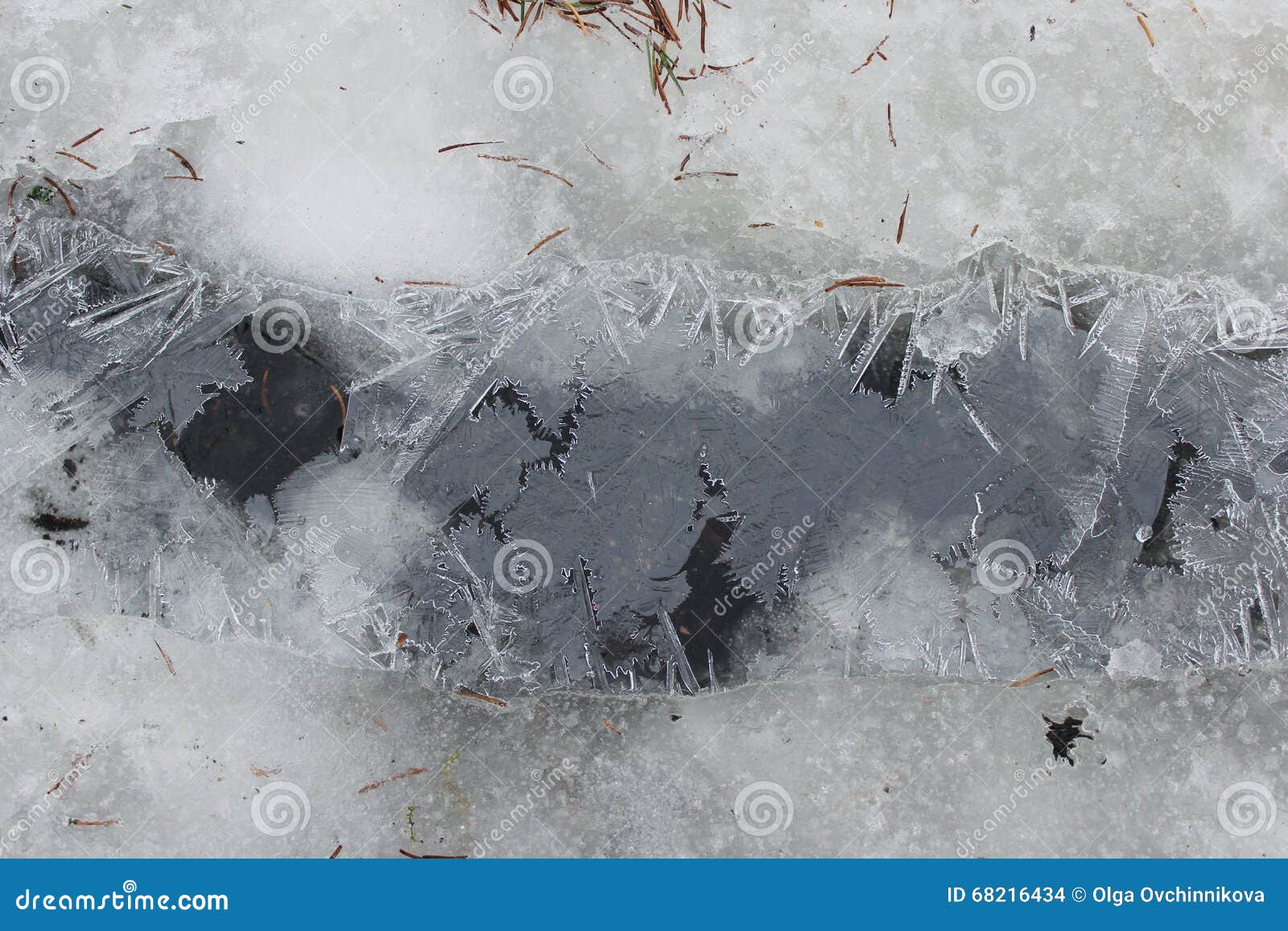 Crystalline Crust of Ice is Covering a Puddle in the Spring. Stock ...