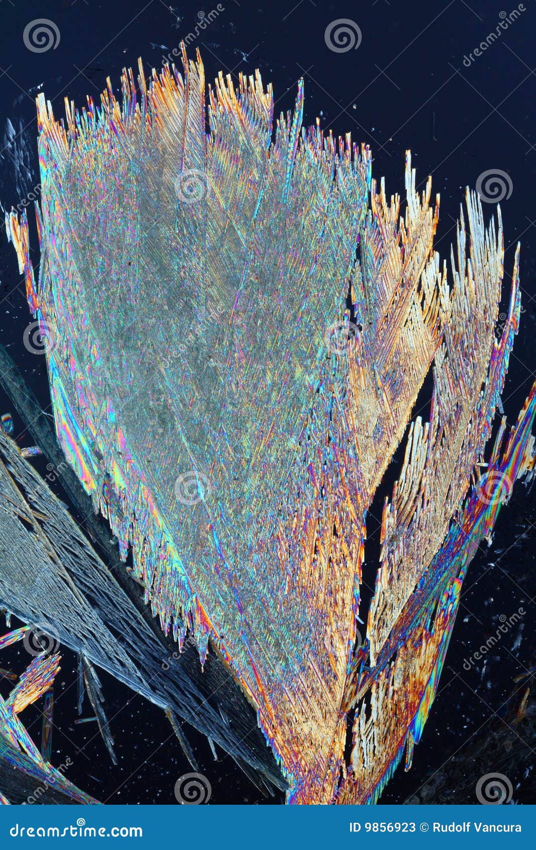 Crystallized Design stock image. Image of light, textured - 9856923