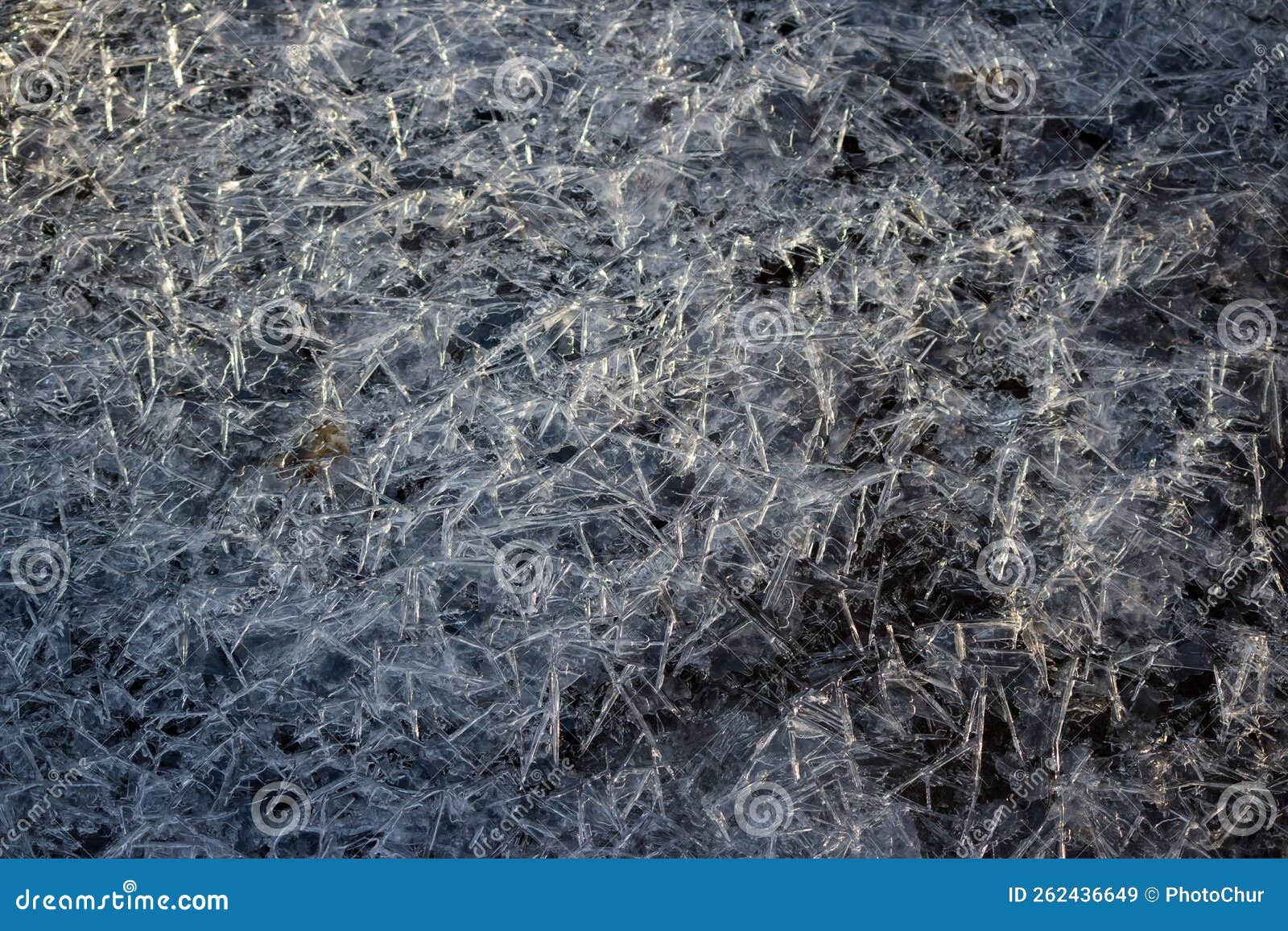 Crystallized Ice on the Surface of a Stream Stock Image - Image of ...