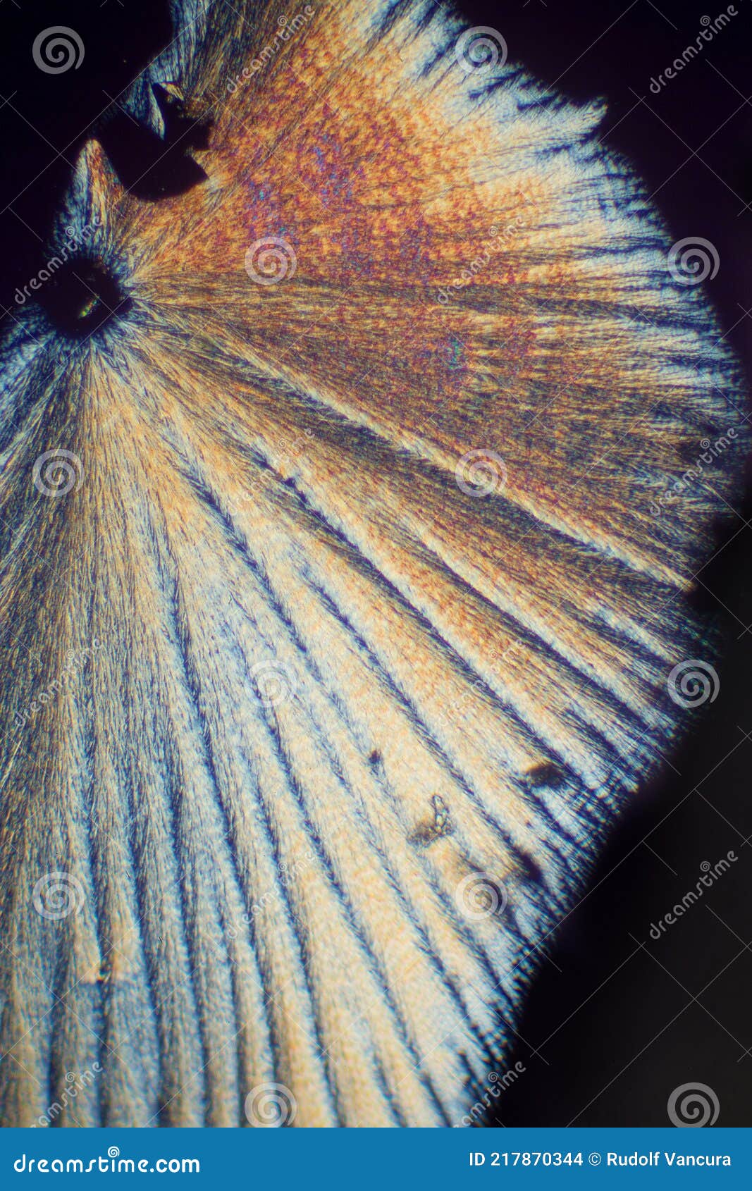 Fragile Crystals of Ascorbic Acid Under Microscope Stock Photo - Image ...