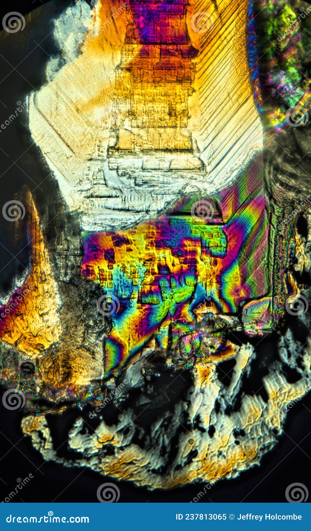 Crystals of Glycine in Solid Shapes Under a Polarizing Microscope Stock ...