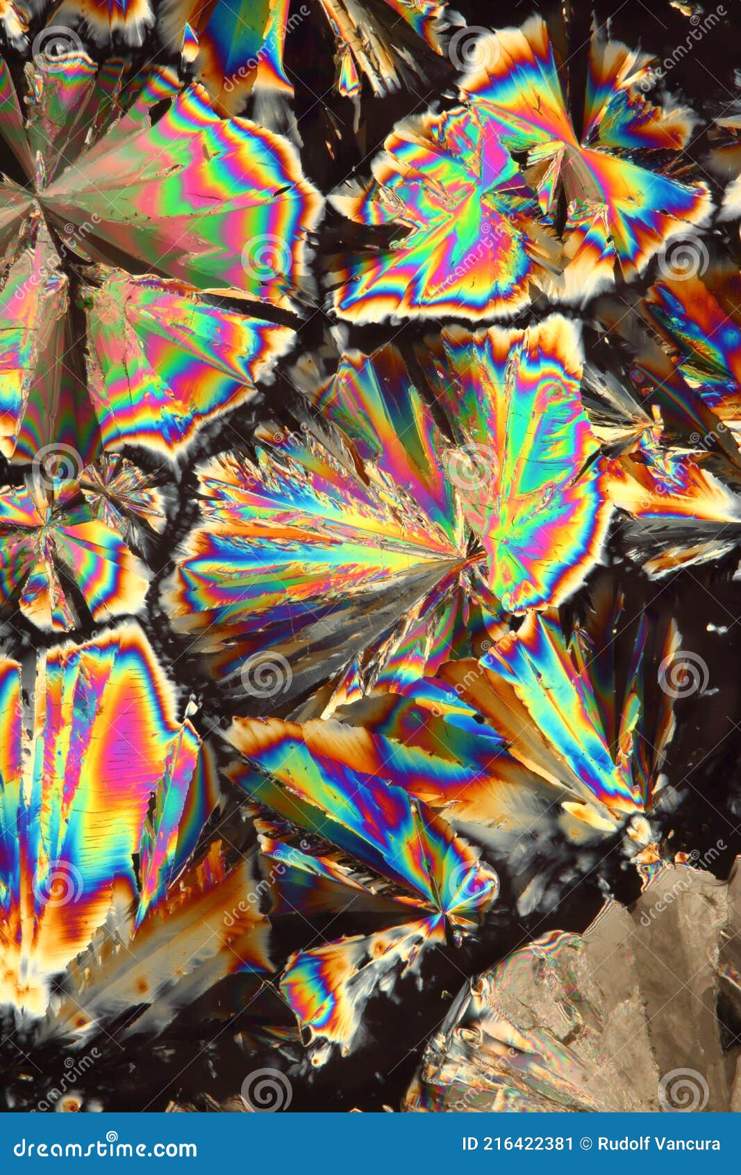 Crystals under microscope stock image. Image of composition - 216422381