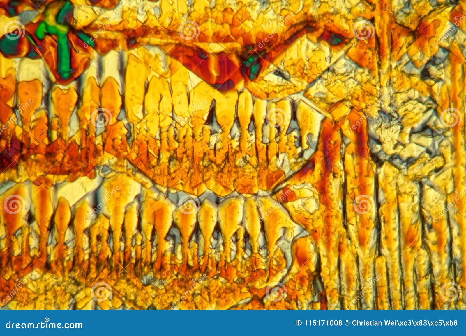 Potassium Ferricyanide Under the Microscope and in Polarized Light ...