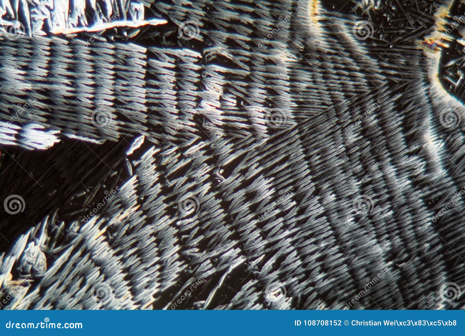 Crystals of Potassium Nitrate Under the Microscope Stock Photo - Image ...