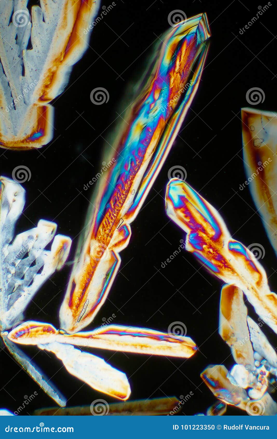 Microscope, With A Magnified Image Of A Cell Or Molecule Stock Photo ...