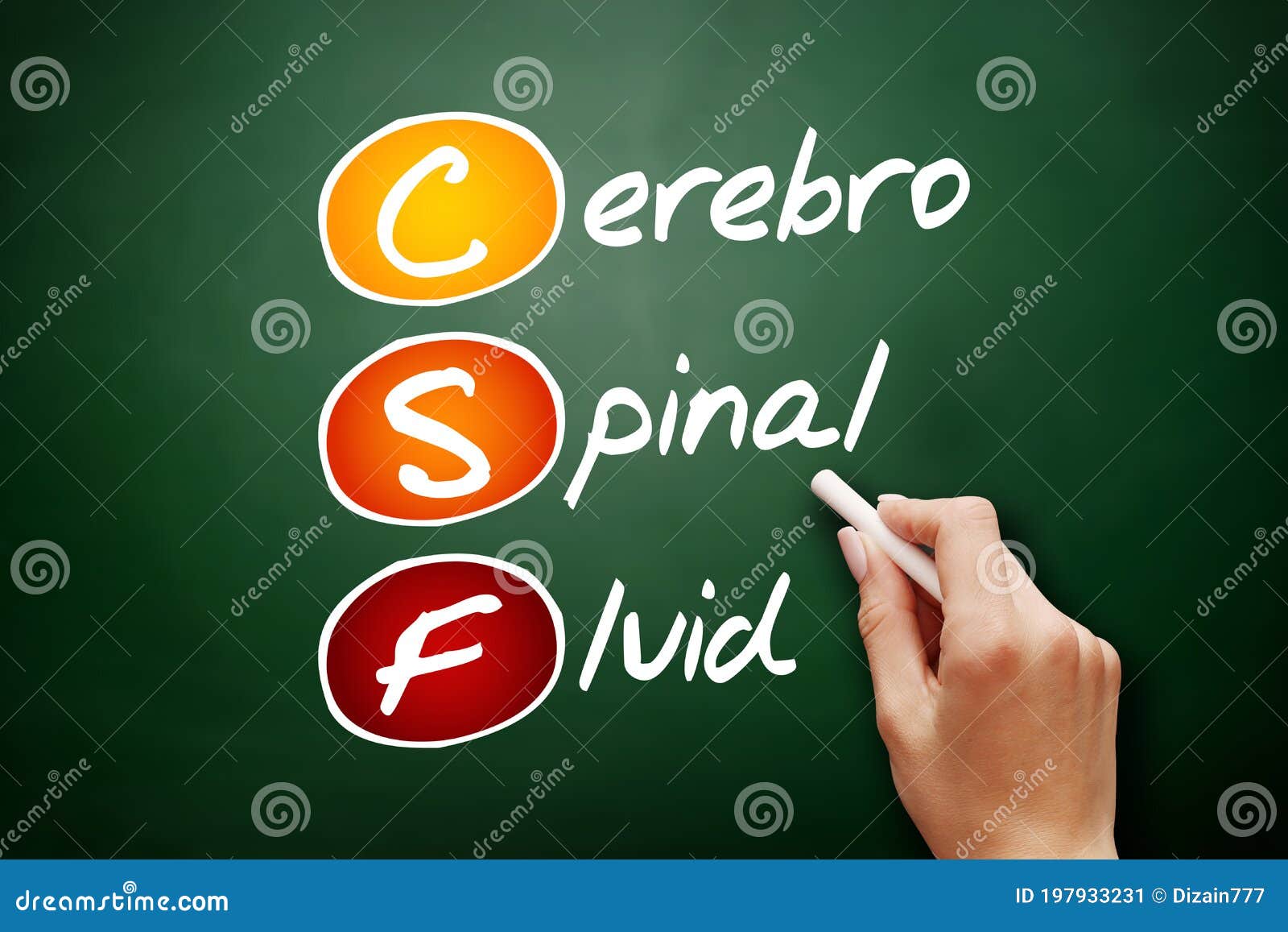 CSF - Cerebrospinal Fluid Acronym With Marker, Concept Background Stock ...