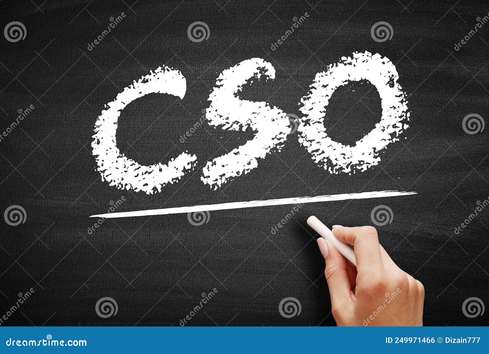 CSO Chief Strategy Officer - Executive Has Primary Responsibility for ...