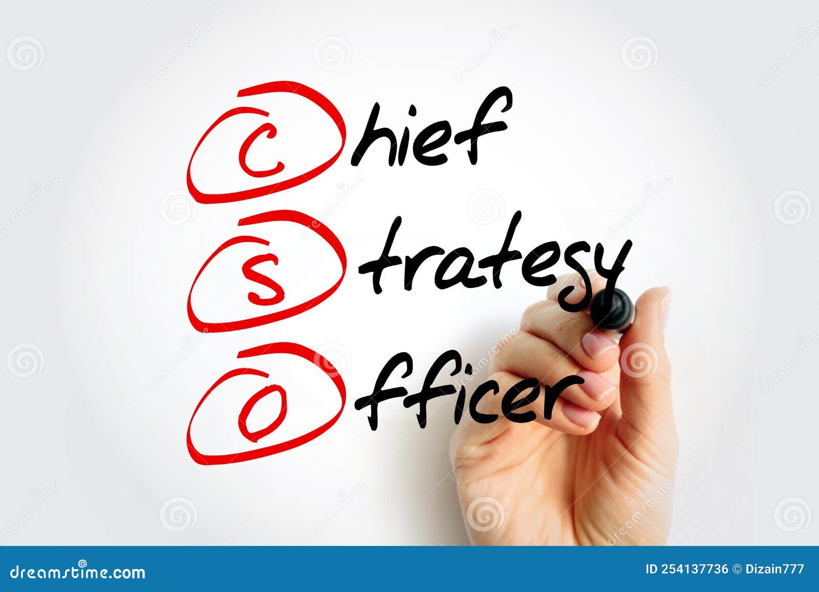 CSO Chief Strategy Officer - Executive Has Primary Responsibility for ...