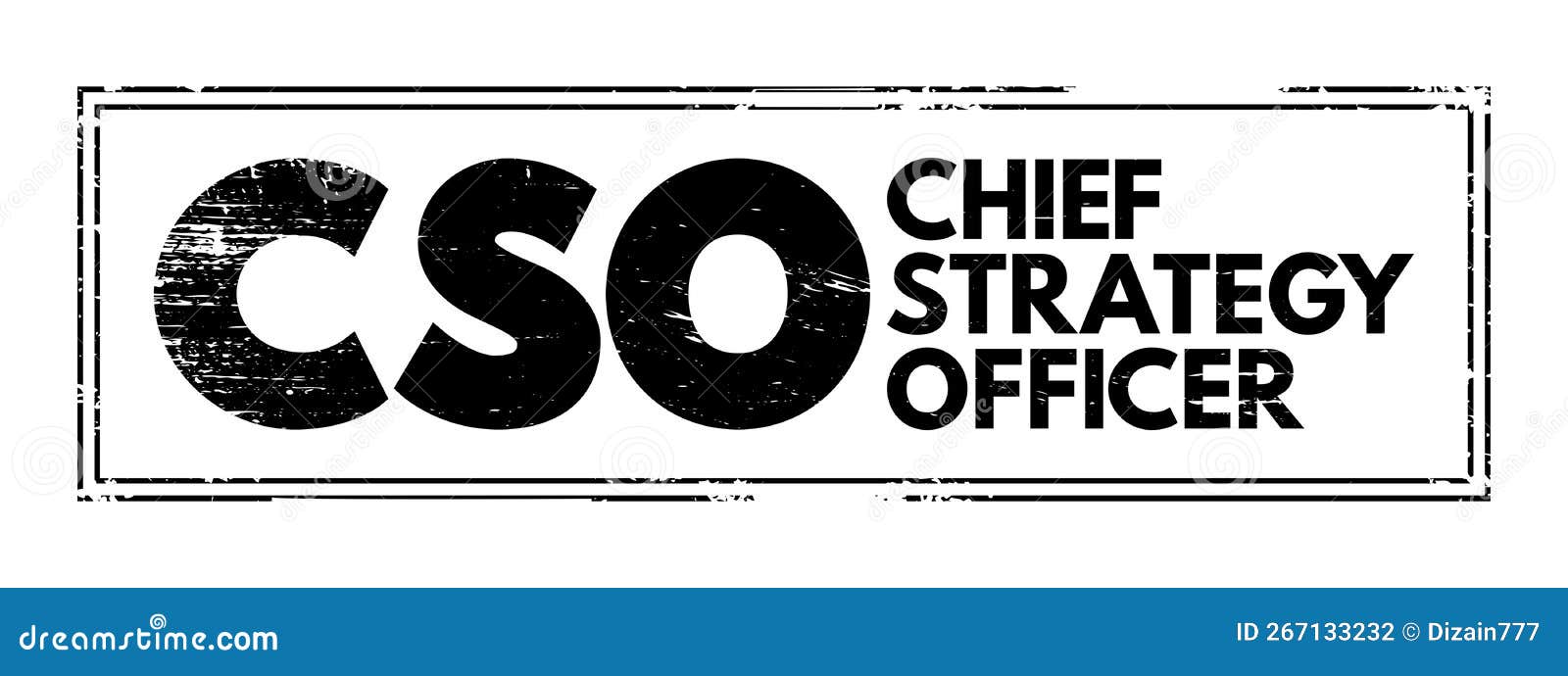 CSO Chief Strategy Officer - Executive Has Primary Responsibility for ...