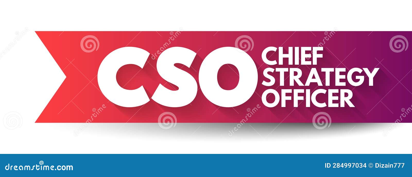 CSO Chief Strategy Officer - Executive Has Primary Responsibility for ...