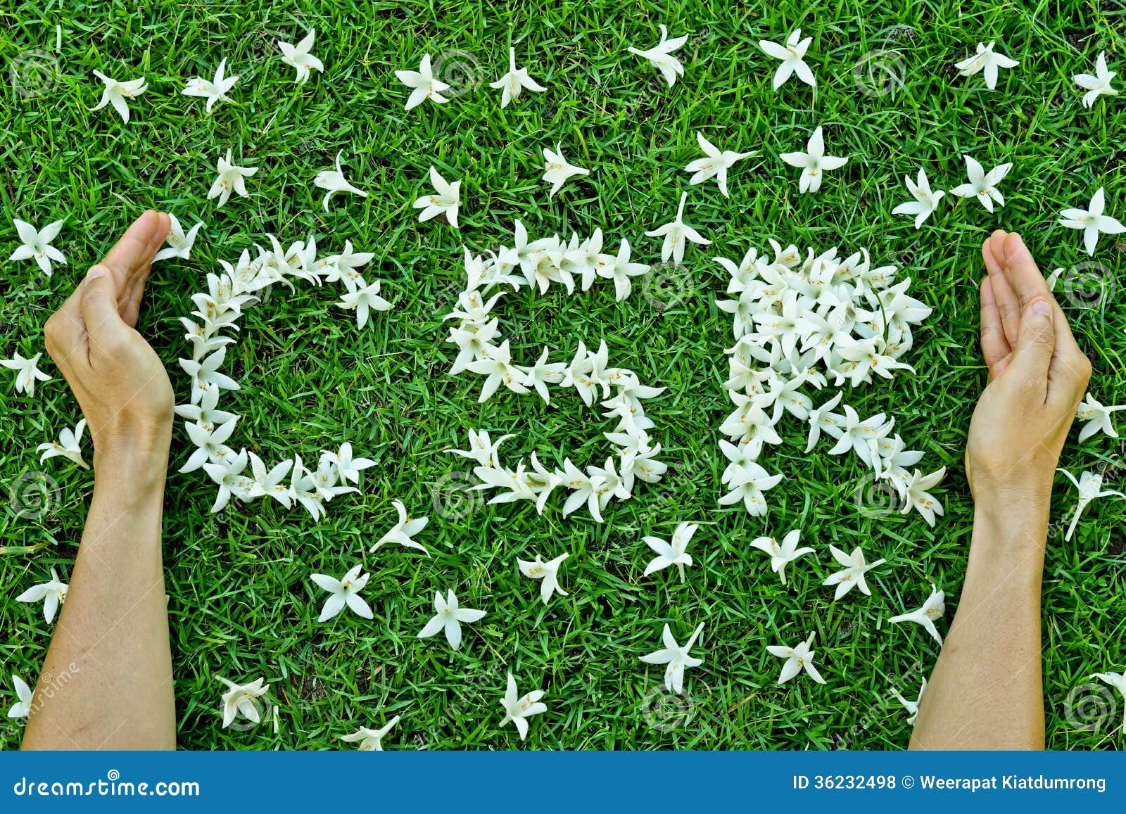 Csr stock photo. Image of hands, conscious, friendly - 36232498