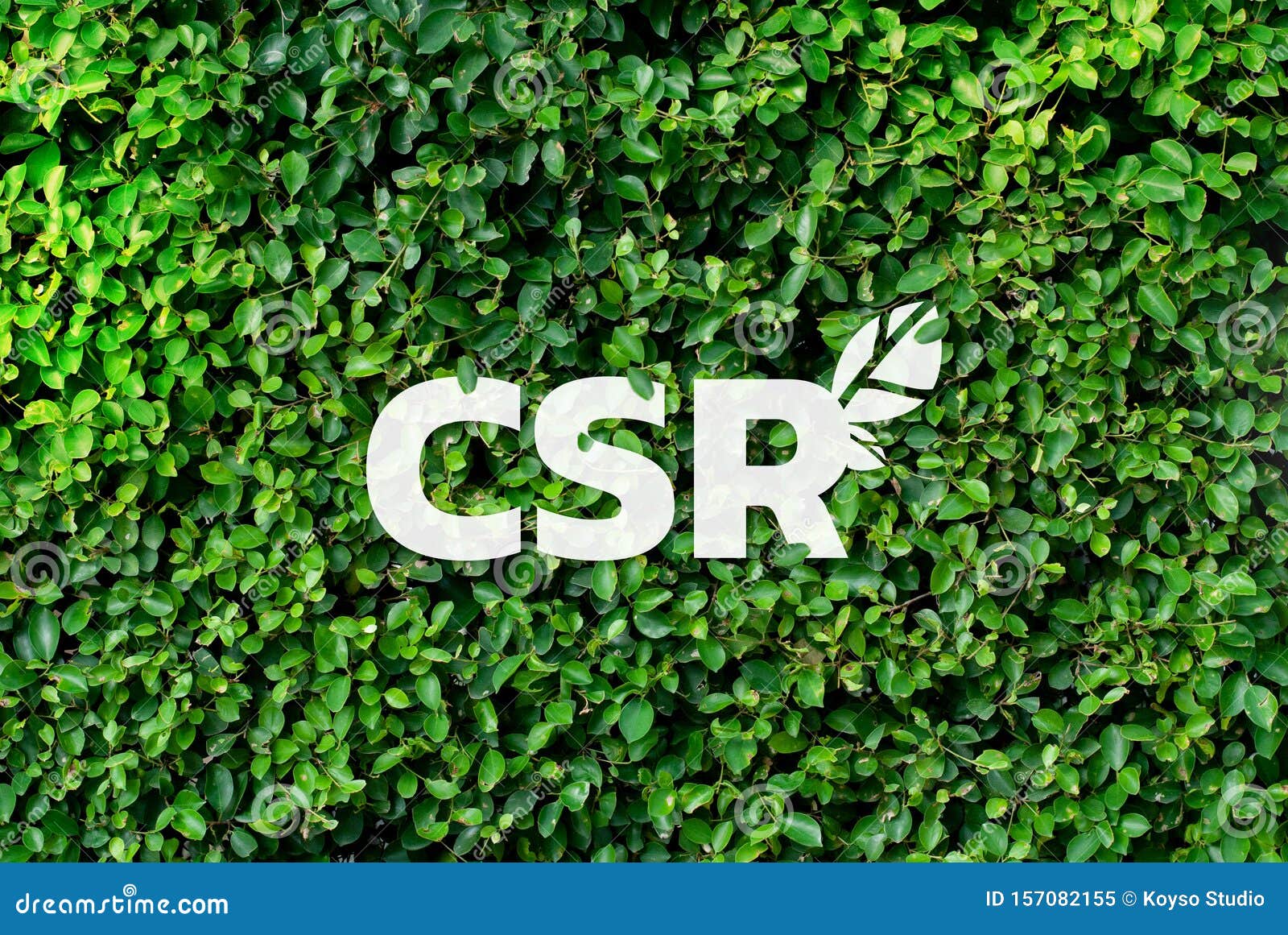 CSR on a Green Background ,Concept of Love the World Stock Image ...